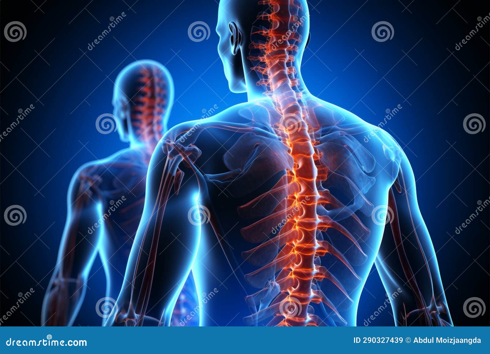 3d Render Depicting The Muscle Structure Of The Human Body Royalty-Free ...