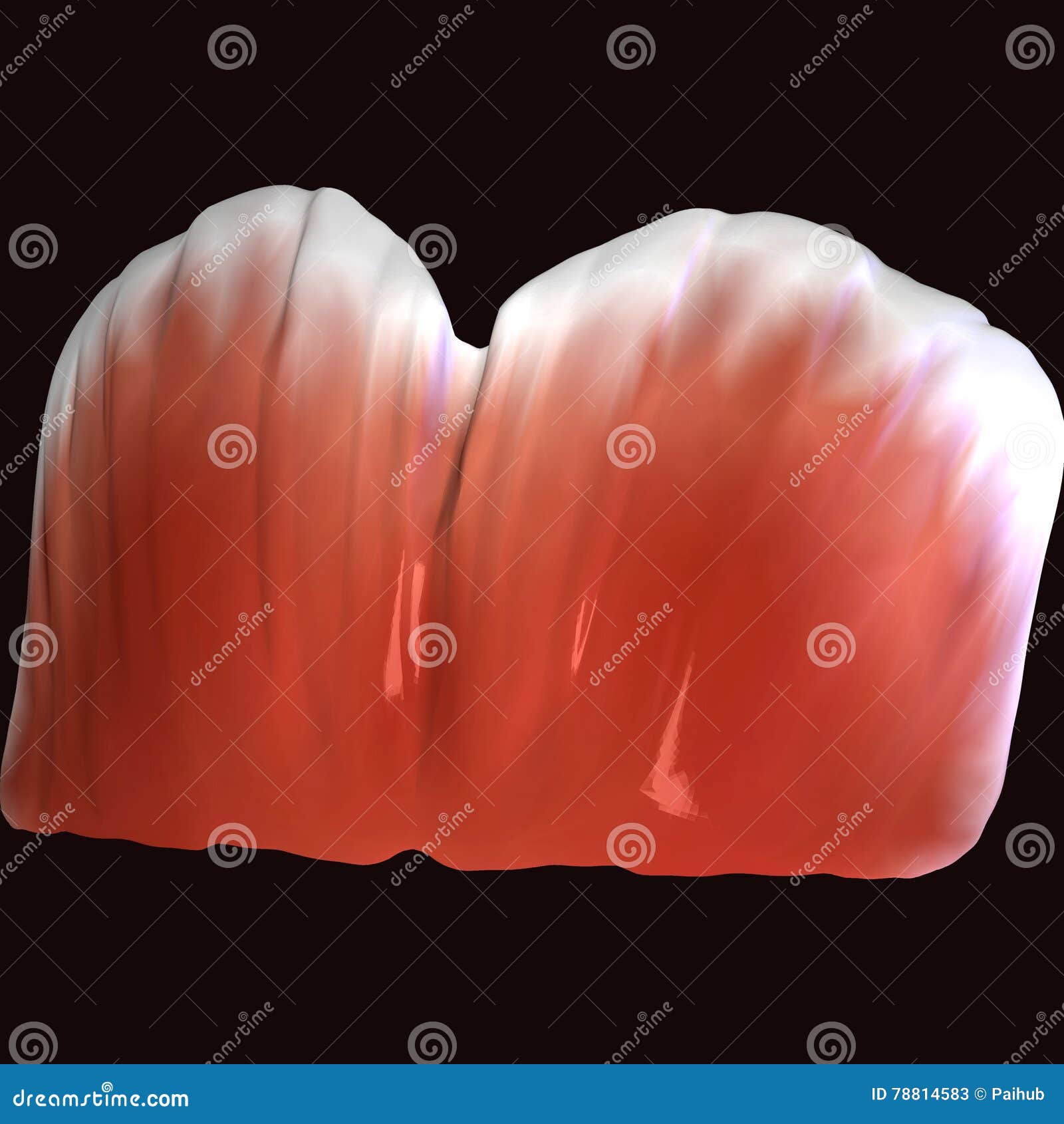 3d Render Depicting The Muscle Structure Of The Human Body Royalty-Free ...