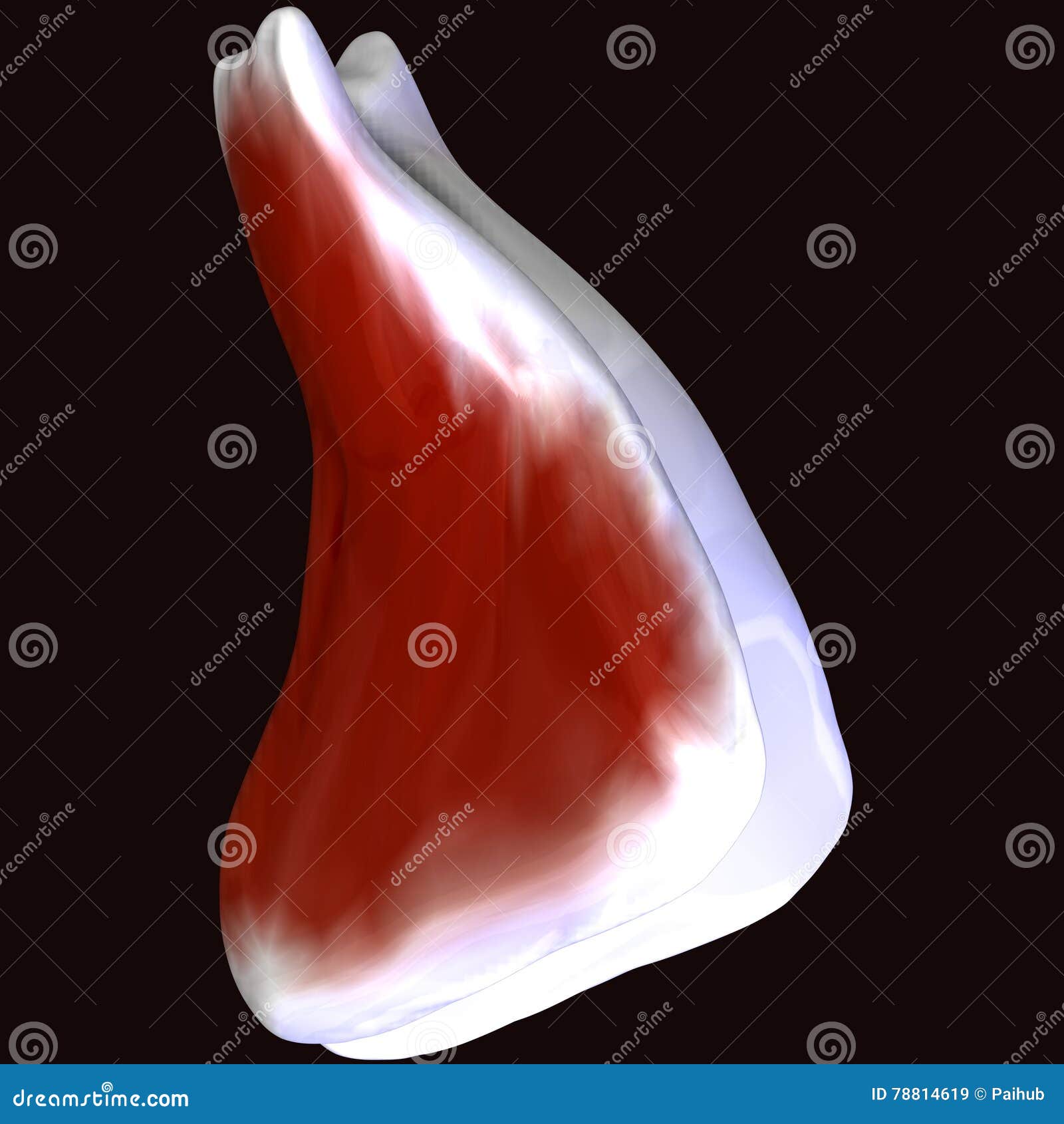 3d Render Depicting the Muscle Structure of the Human Body Stock ...