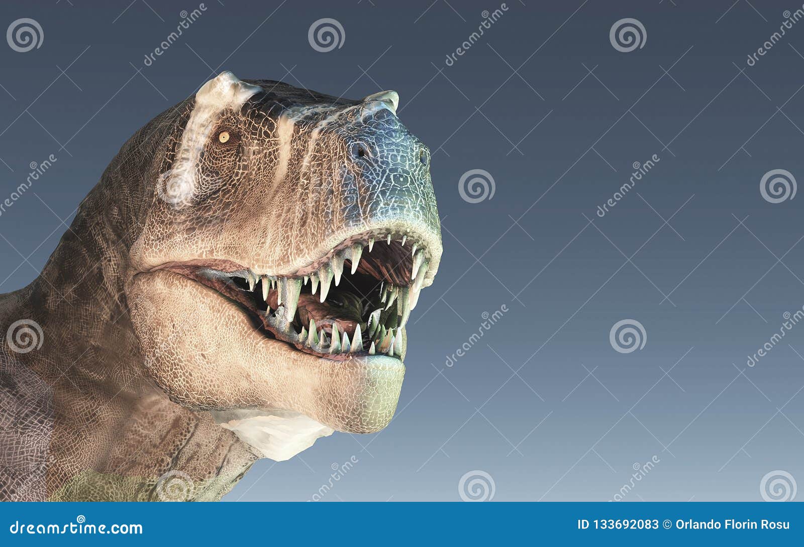 Trex White On White Background. Stock Illustration | CartoonDealer.com ...