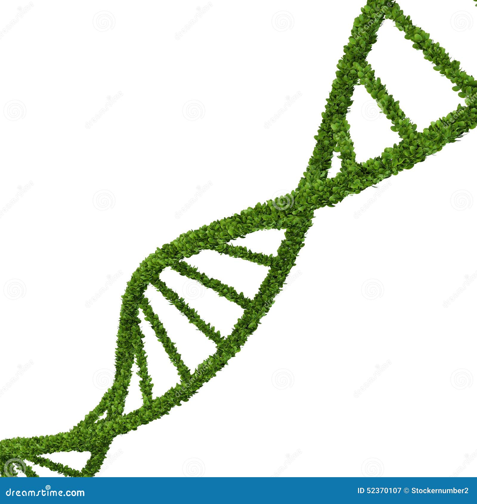 3D Render DNA, Grass Design Stock Illustration - Illustration of ...