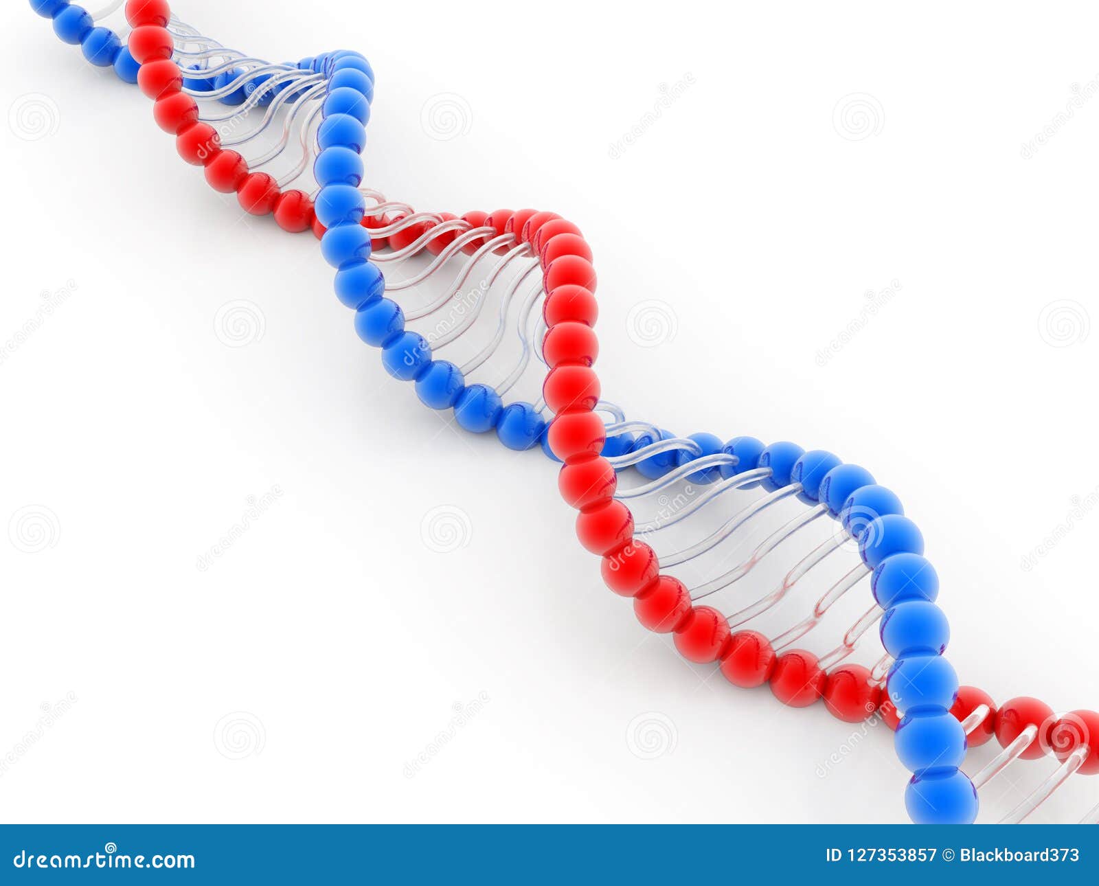 3d Illustration of DNA Structure in White Background Stock Illustration ...