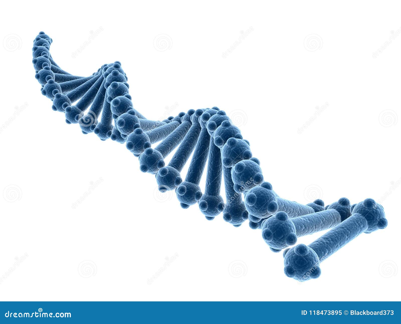 Concept Of Biochemistry With Dna Molecule Isolated In White Background ...
