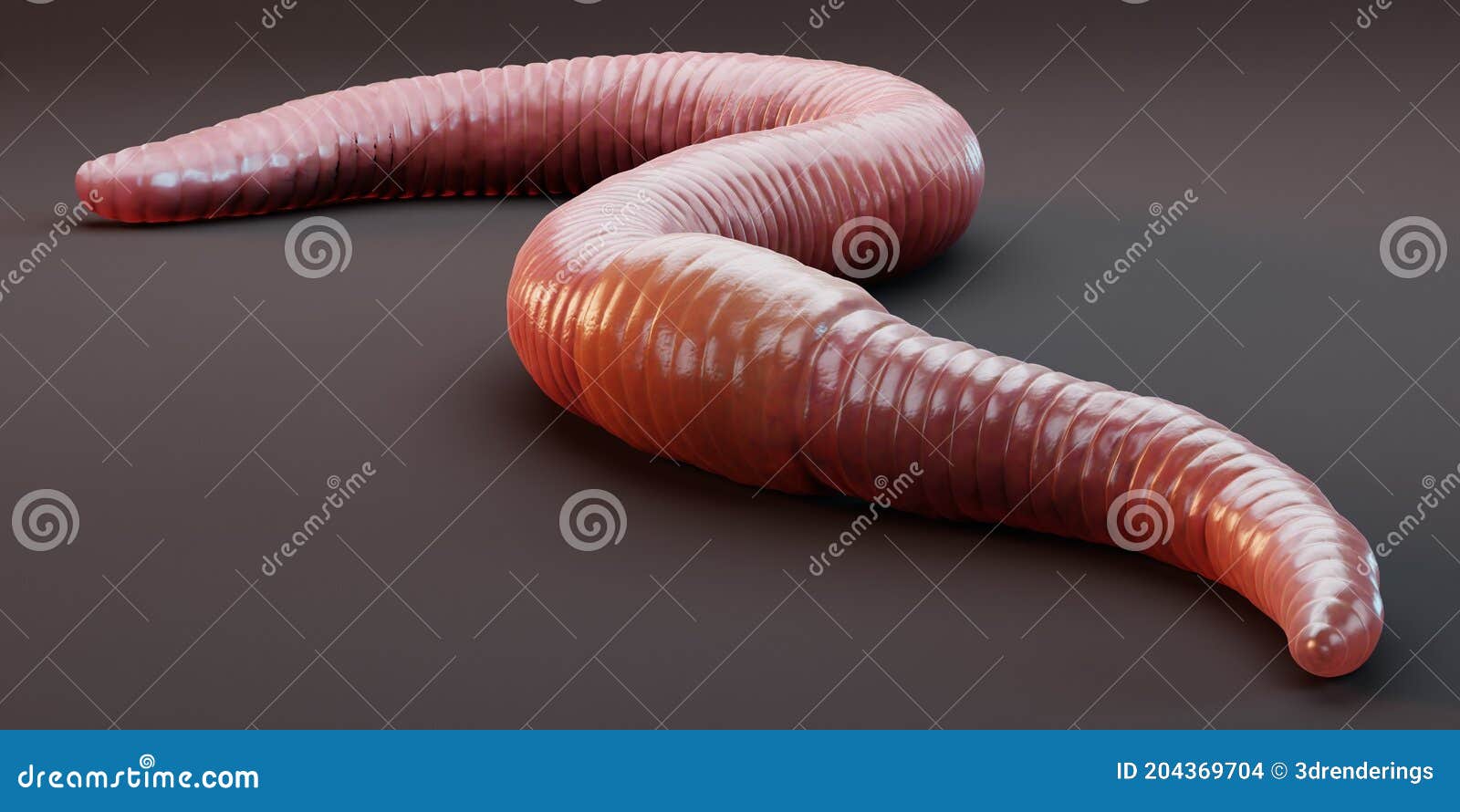 3D Render of Earthworm stock illustration. Illustration of animal ...