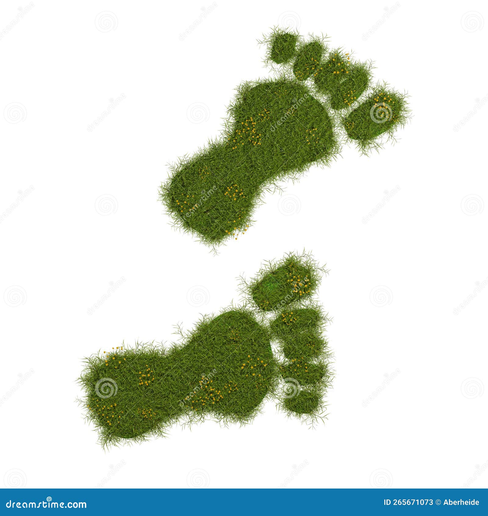 3d Render of an Ecological Footprint, Grassy Footprint on a White ...