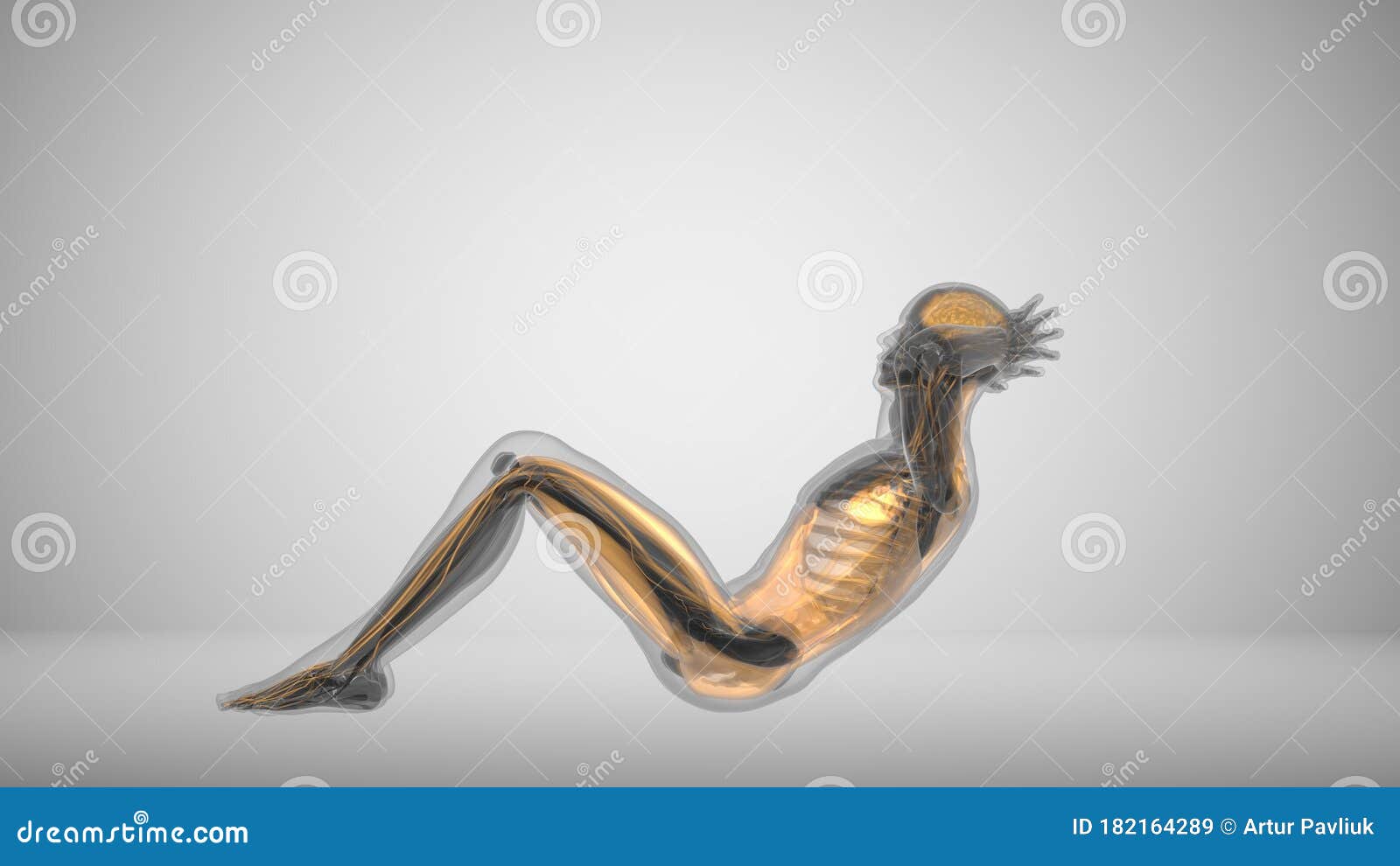 3d Render Exercise on the Press with Muscle Lighting Stock Illustration ...