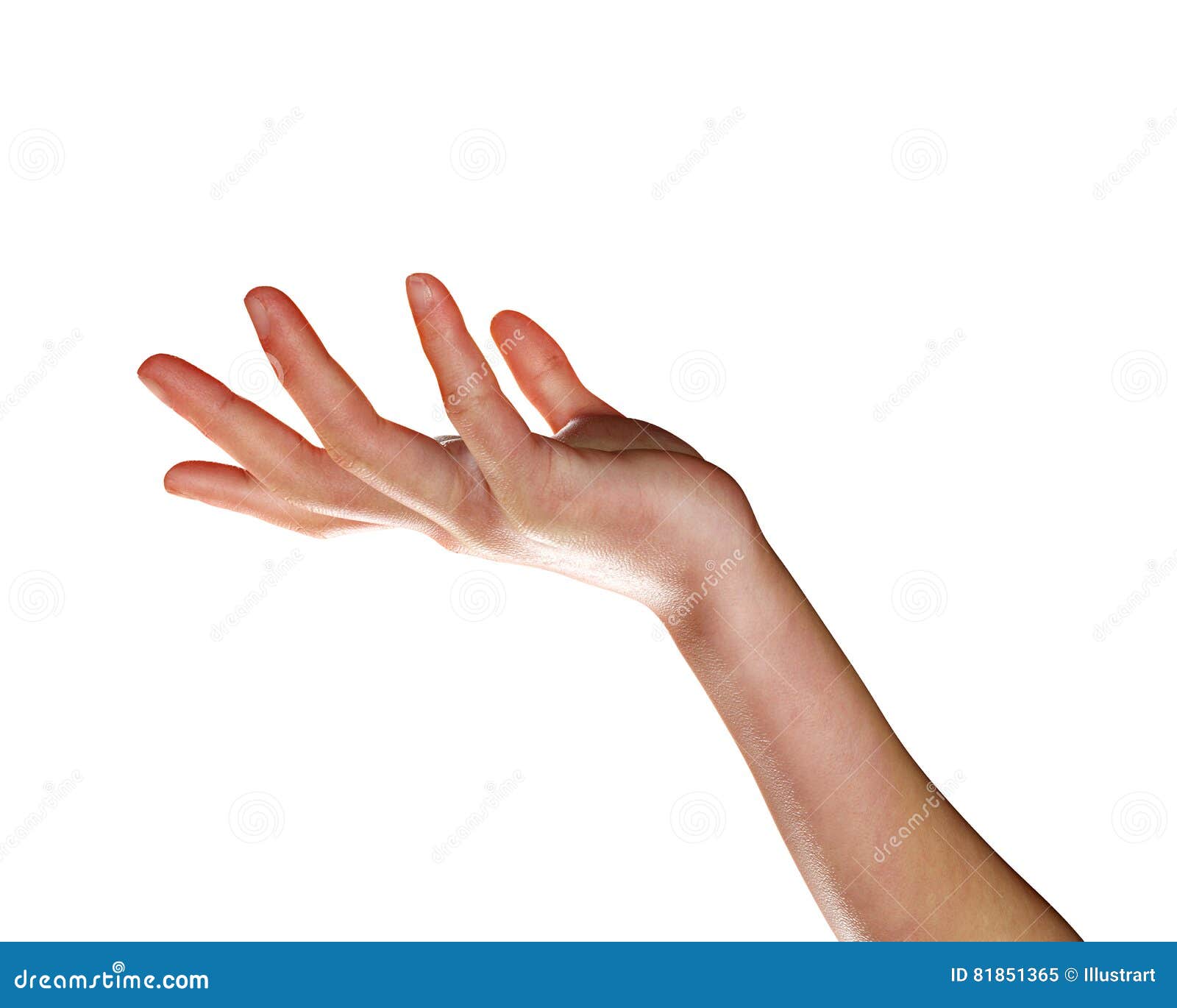 3d Render of a Female Hand Isolated on White Stock Illustration ...