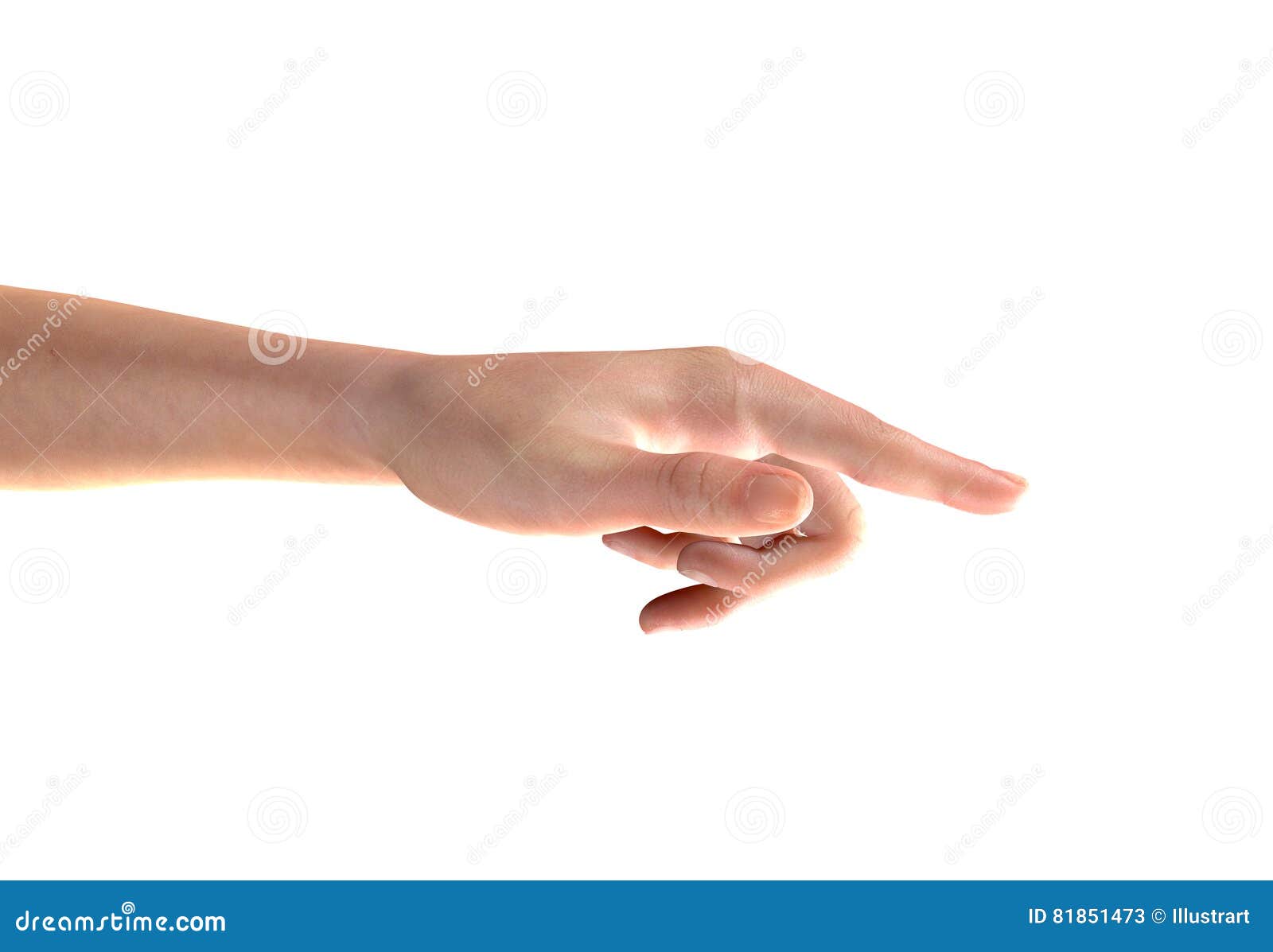 3d Render of a Female Hand Isolated on White Stock Illustration ...