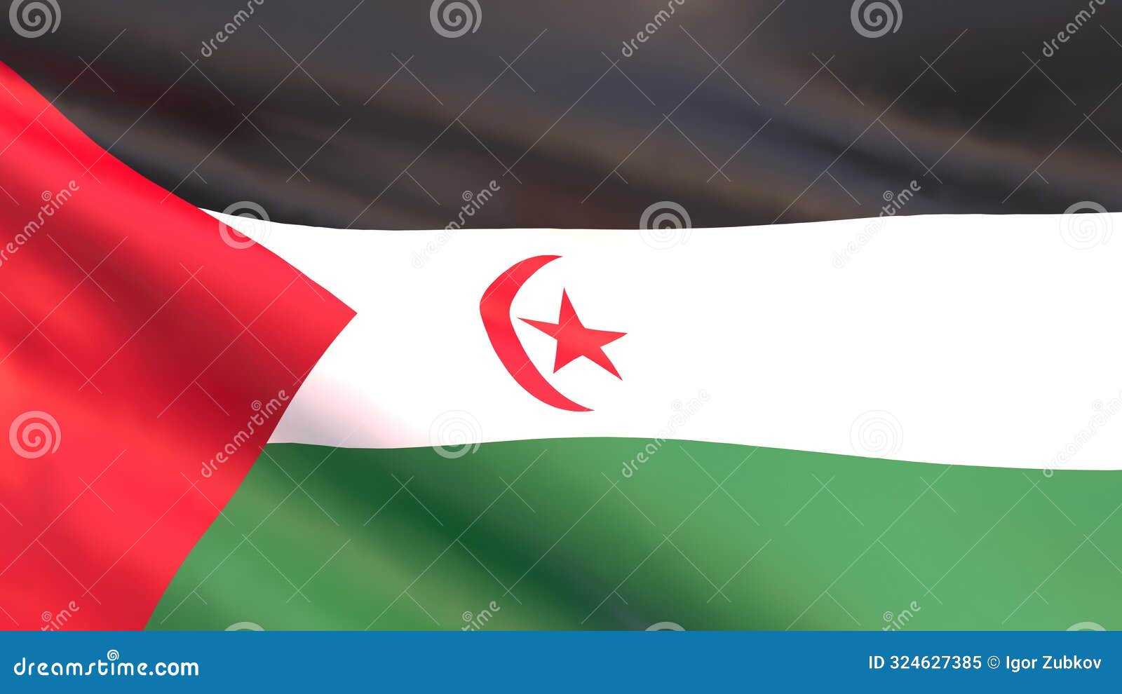 3D Render of the Flag of the Sahrawi Arab Democratic Republic ...