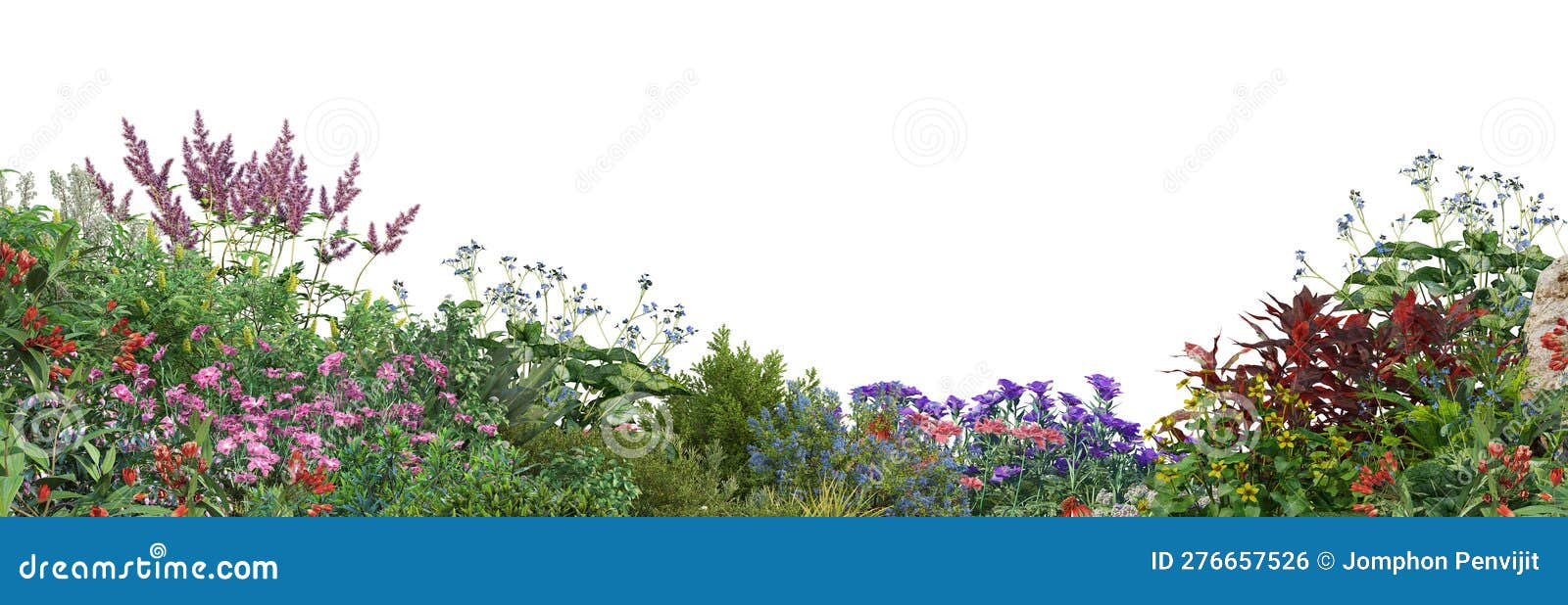 Foreground Flower and Plant on White Background Stock Illustration ...