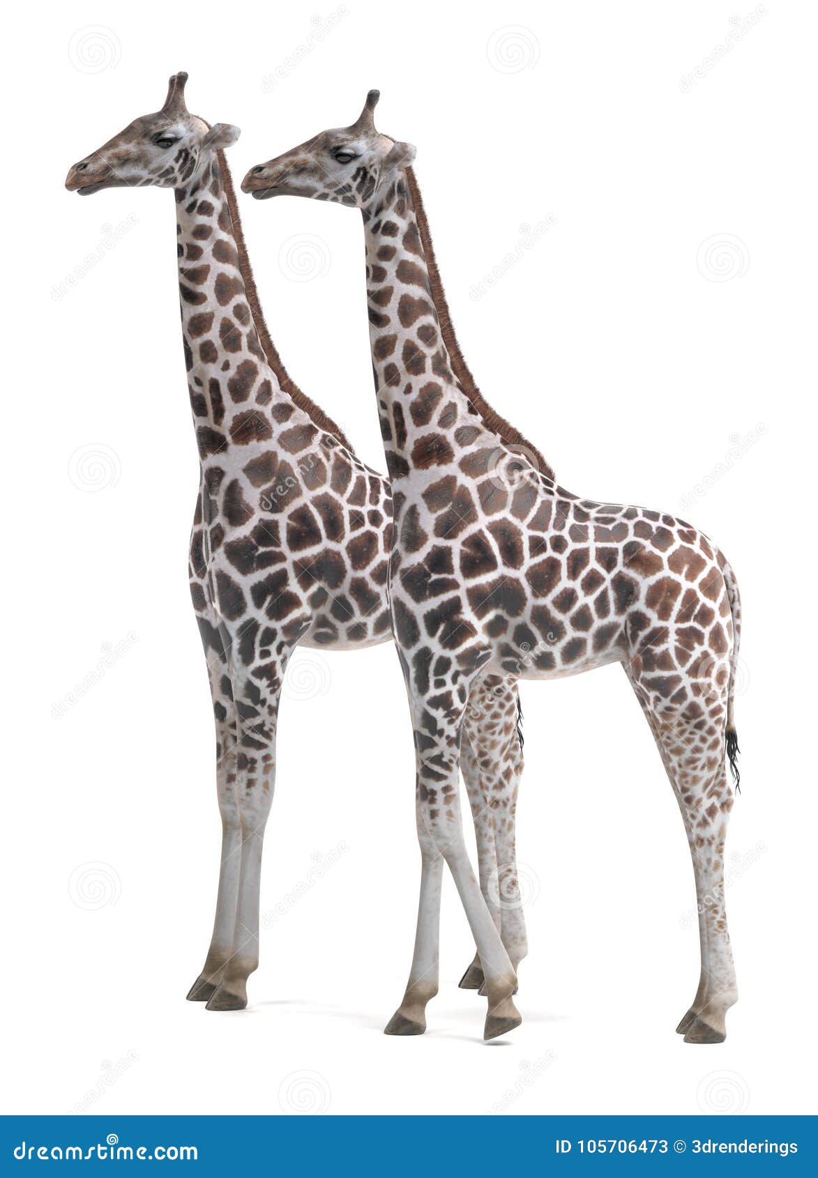 Rothschilds Cartoons, Illustrations & Vector Stock Images - 114 ...