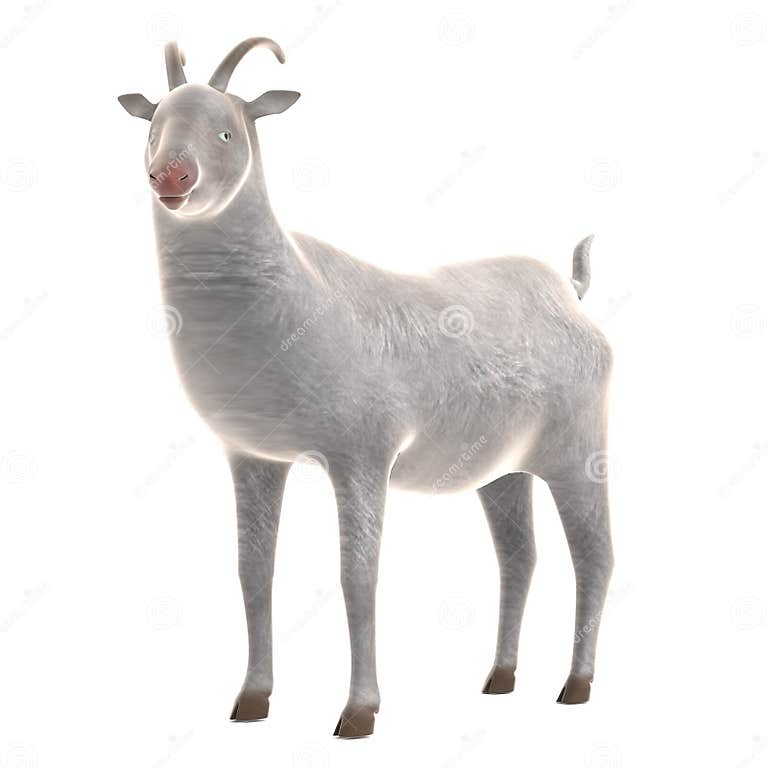 3d render of goat stock illustration. Illustration of realistic - 40136221