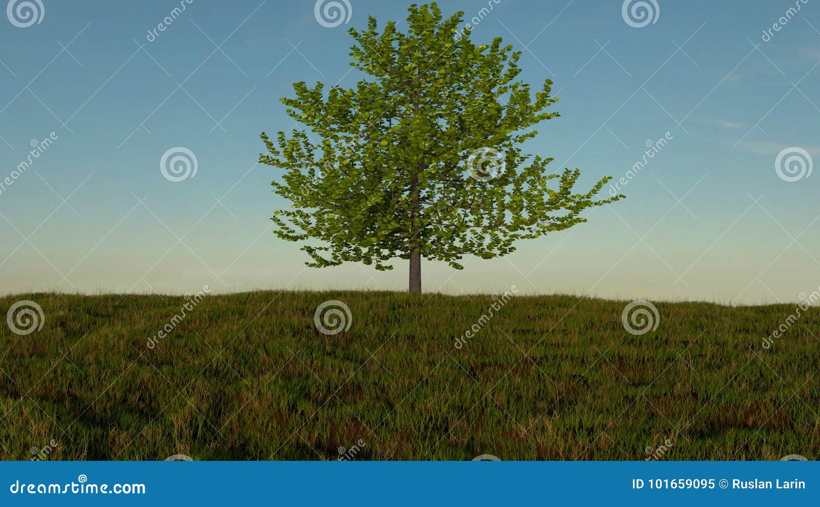 Grassy Field with a Single Tree Standing in the Middle. Stock ...