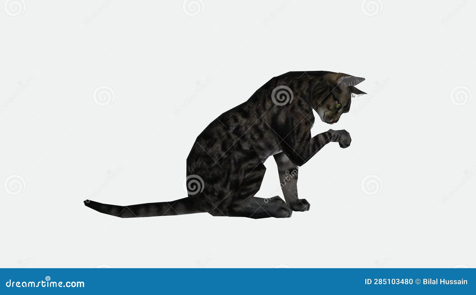 The Cute Cat is Pulling Out on His Head from All Angles with a Backdrop ...