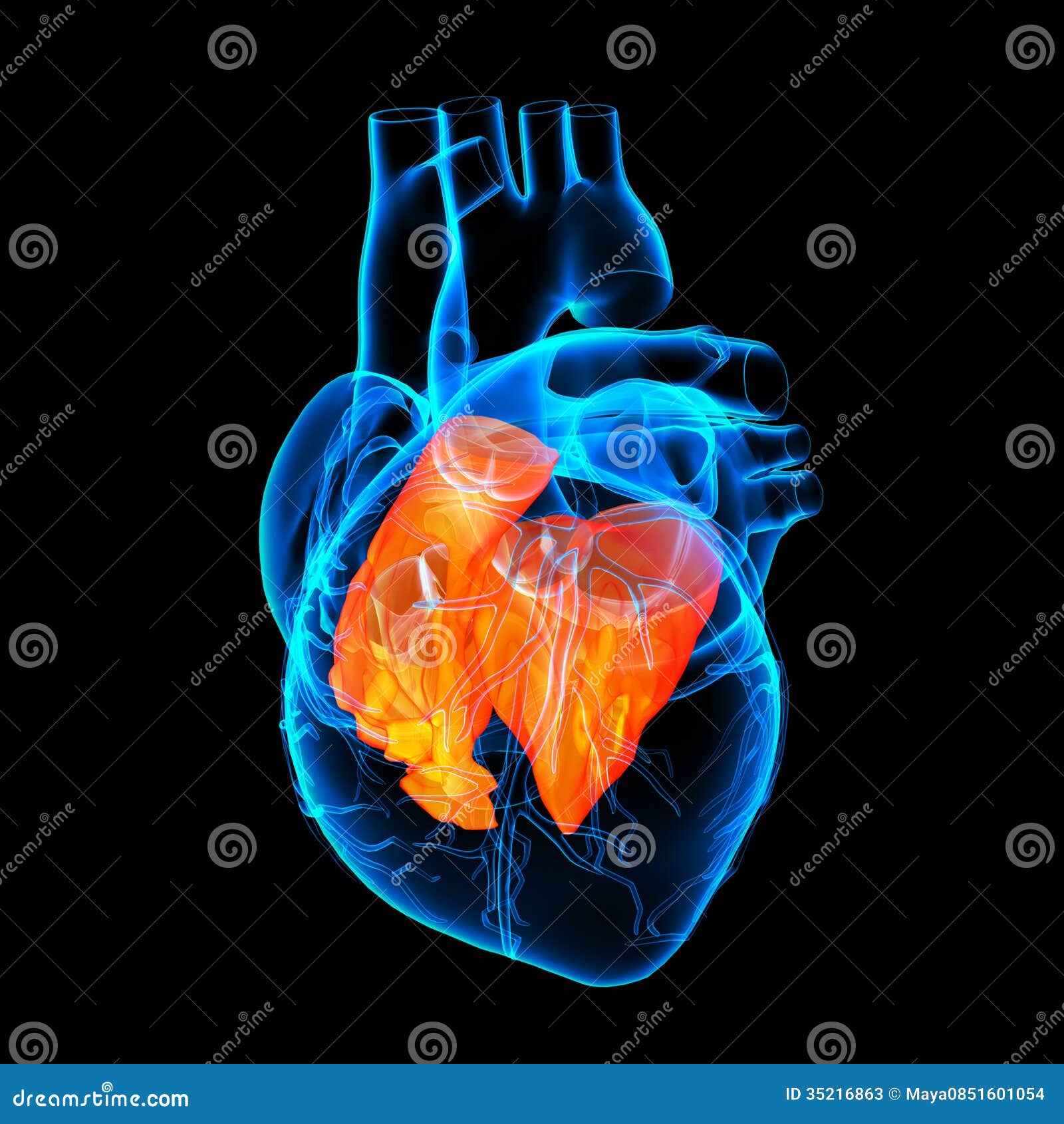 3d render Heart atrium stock illustration. Illustration of drawing ...