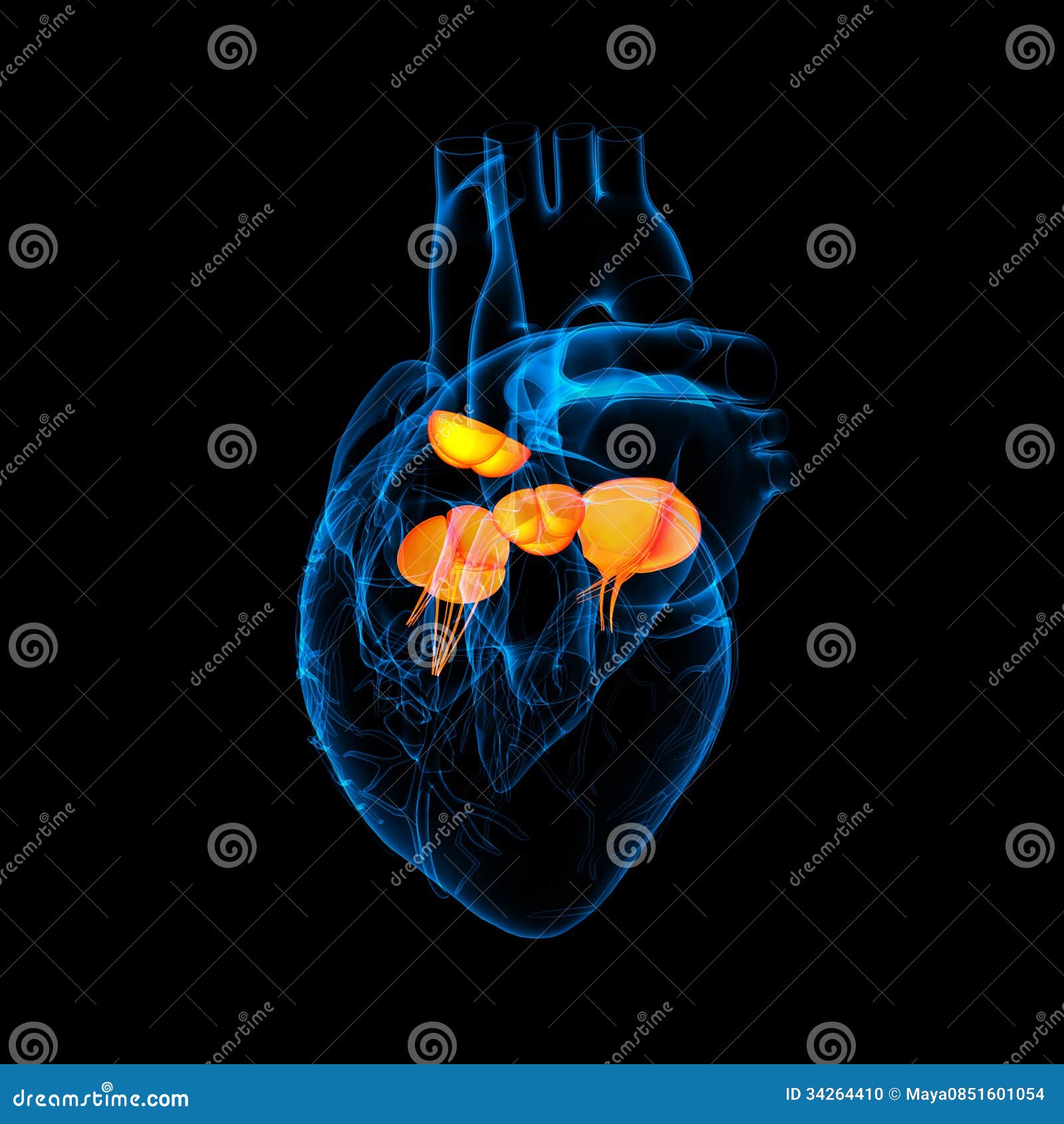3d render Heart valve stock illustration. Illustration of health - 34264410
