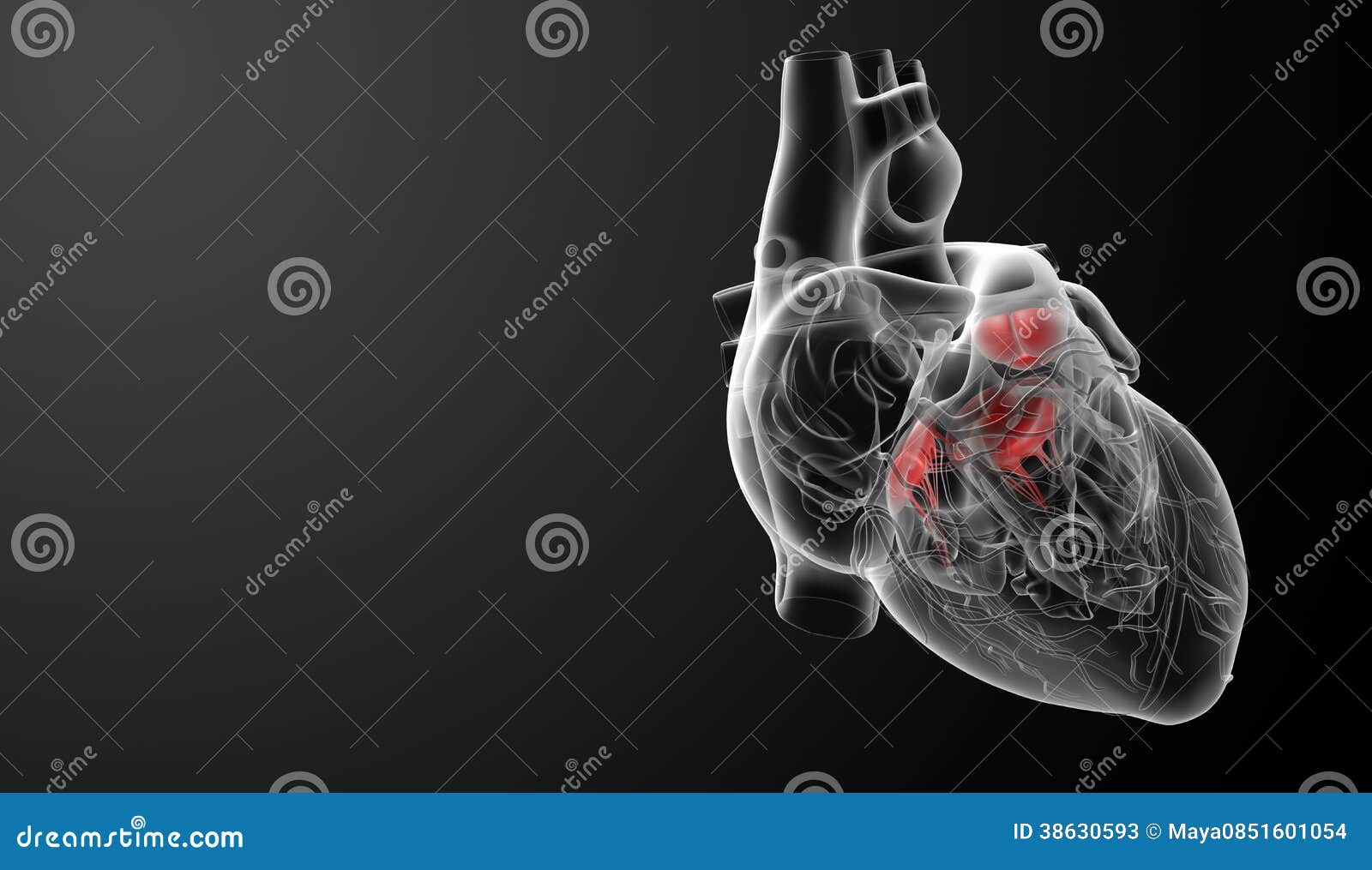 3d render Heart valve stock illustration. Illustration of aorta - 38630593
