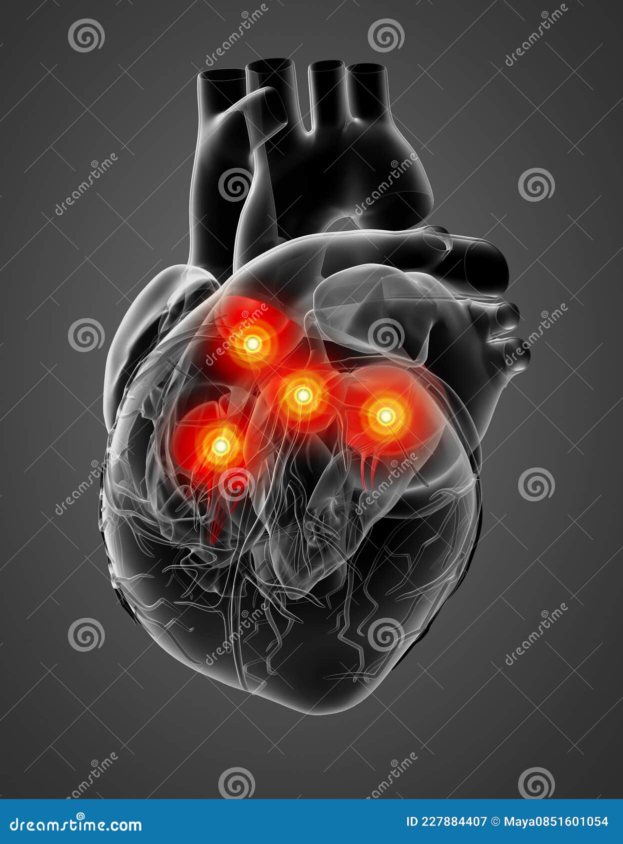 3d Rendered of the Human Heart Stock Illustration - Illustration of ...