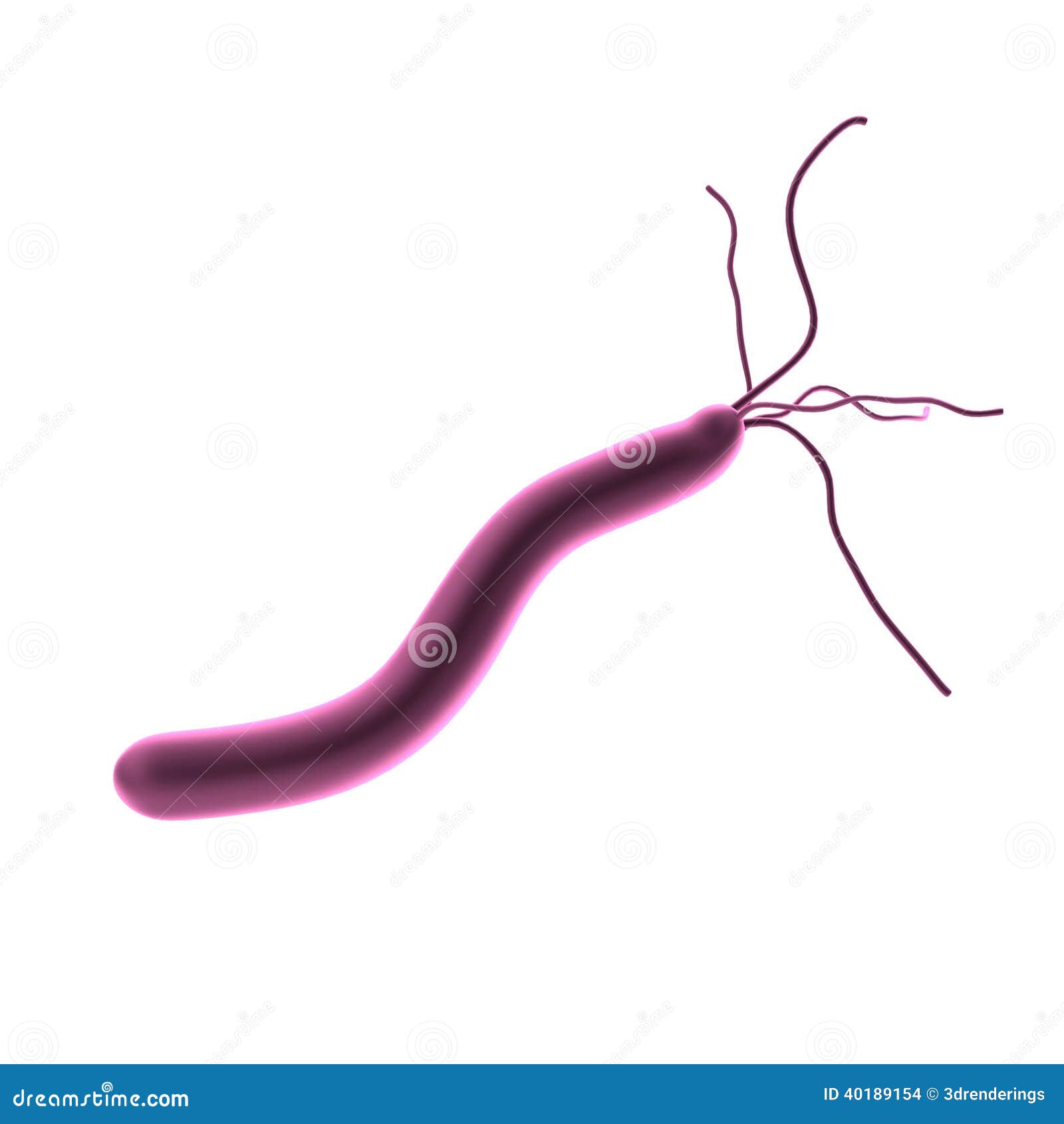 3d Render of Helicobacter Pylori Stock Illustration - Illustration of ...
