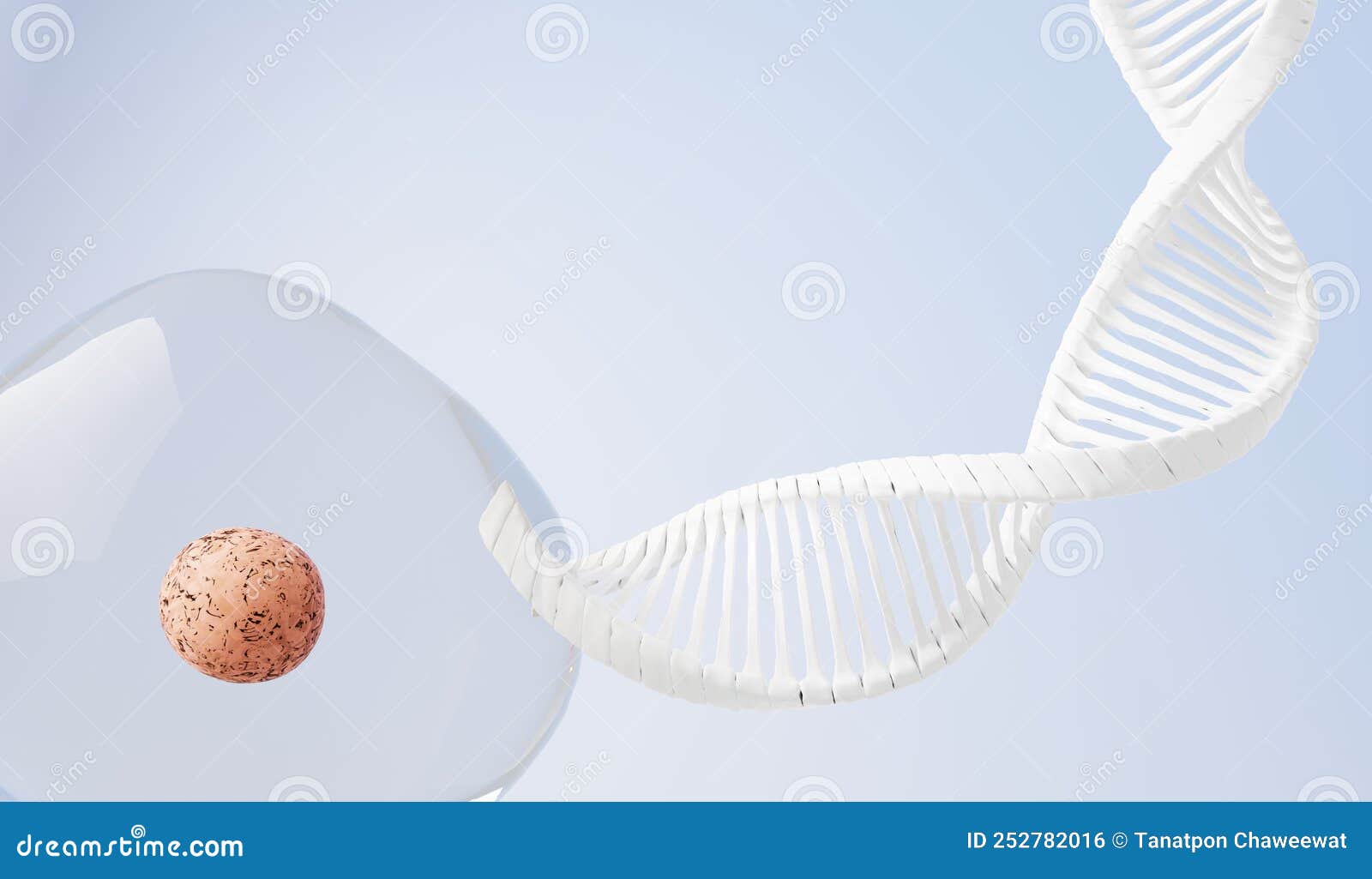 3d Render Helix Complementary Strand of DNA of RNA. Sequences Genetic ...