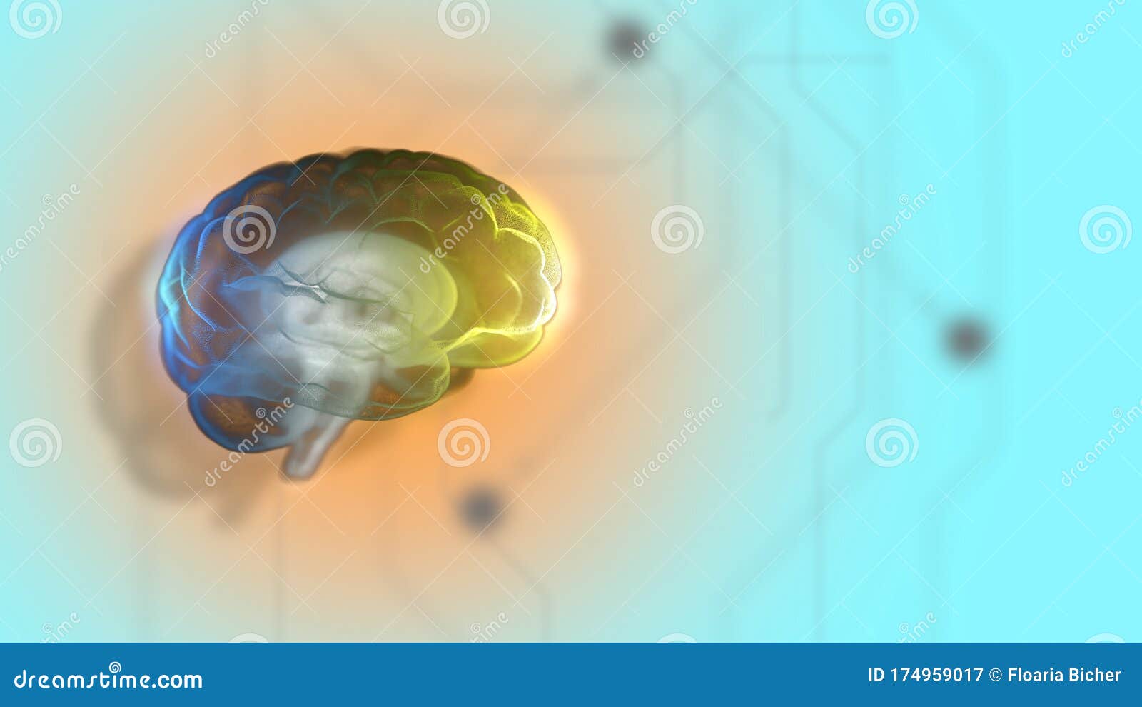 3d Render of High-functioning Brain Processing Information Inside a ...