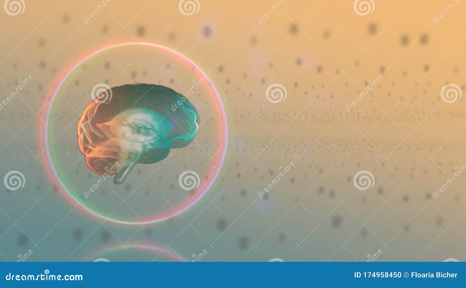 3d Render High-functioning Brain Processing Information Over Light ...