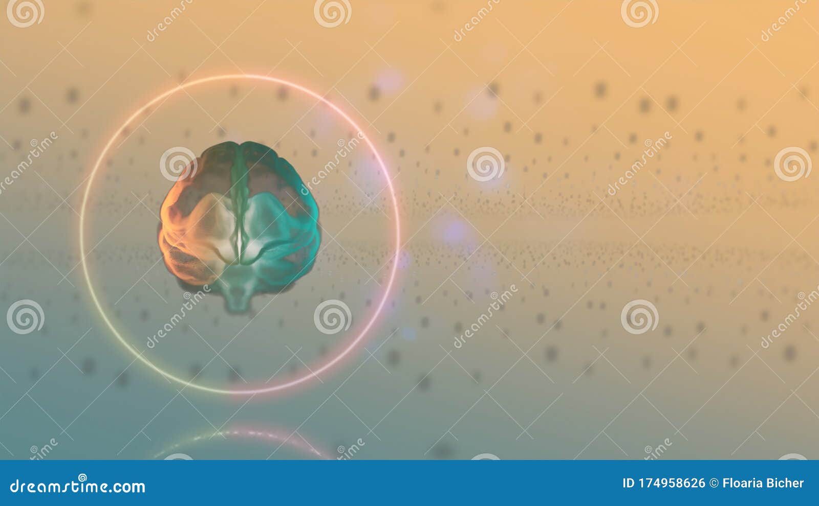 3d Render High-functioning Brain Processing Information Over Light ...