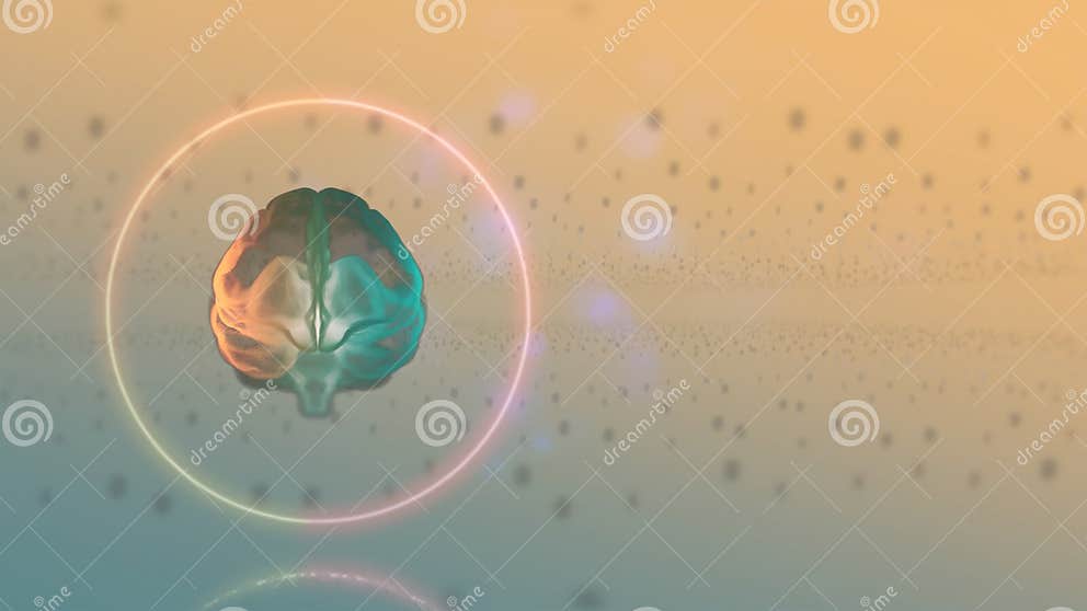 3d Render High-functioning Brain Processing Information Over Light ...