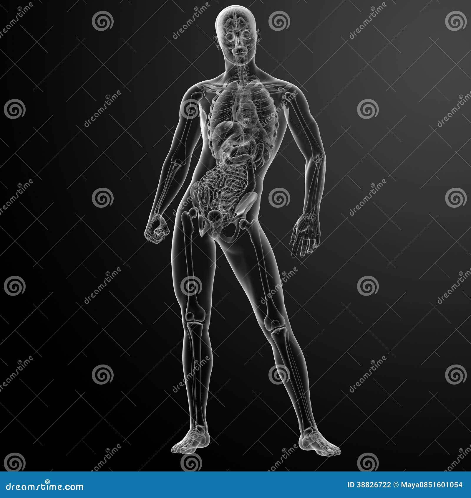 3d render human anatomy stock illustration. Illustration of nervous ...