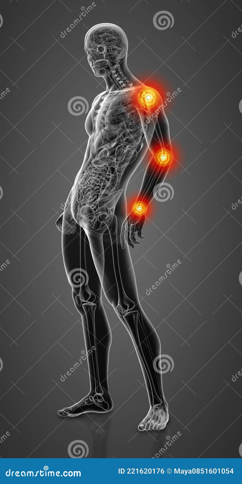 3D Rendering Illustration of Human Anatomy Stock Illustration ...