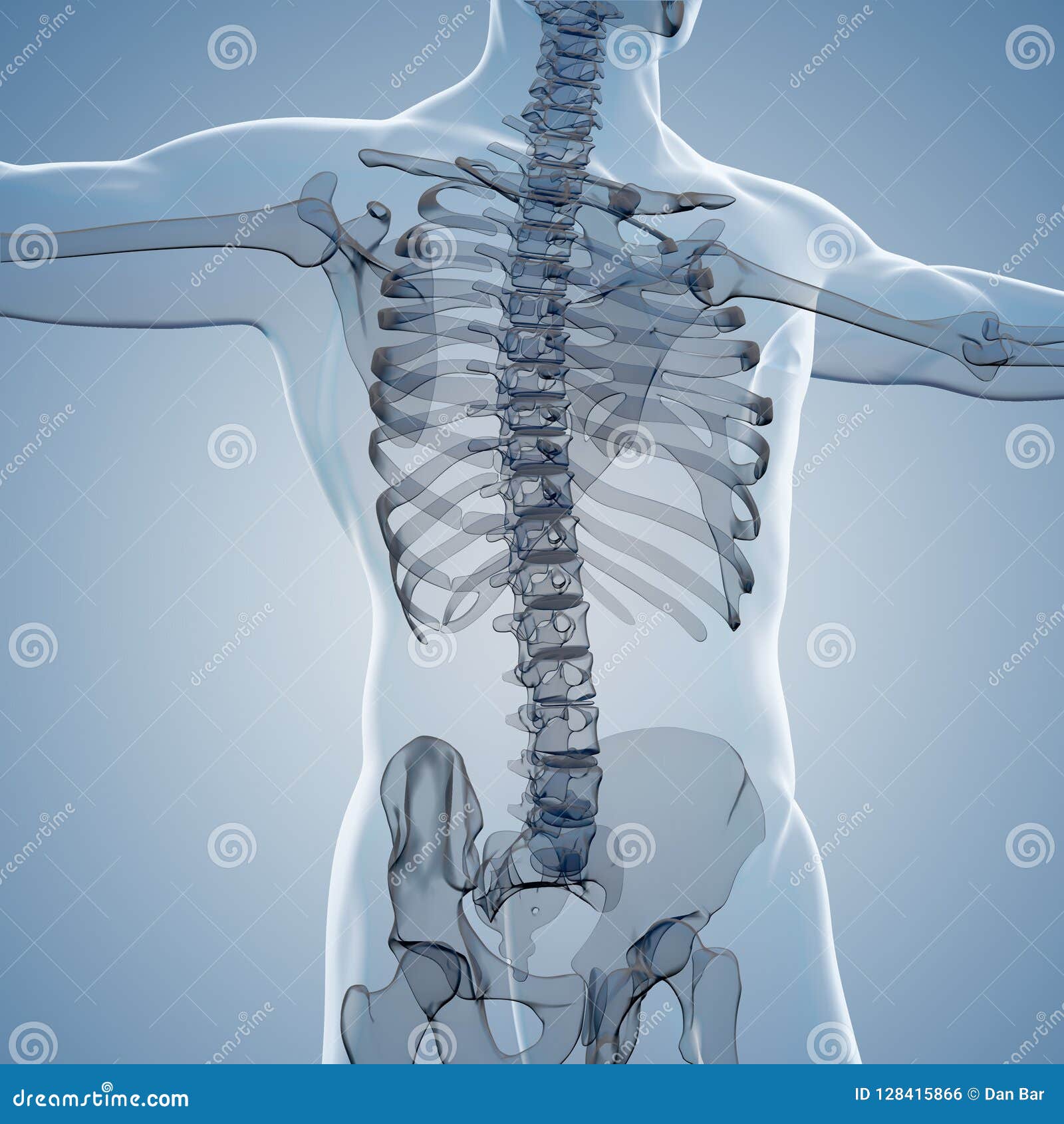 3d Render of Human Skeleton, X-ray Concept Stock Illustration ...