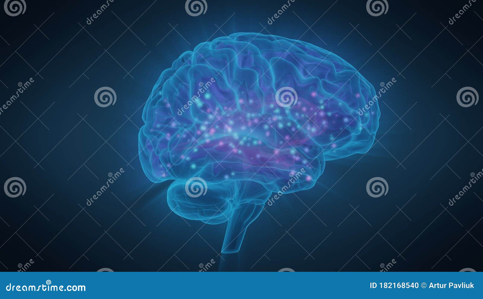 Brain With Convolutions Associated To The Knot, The Concept Of The ...