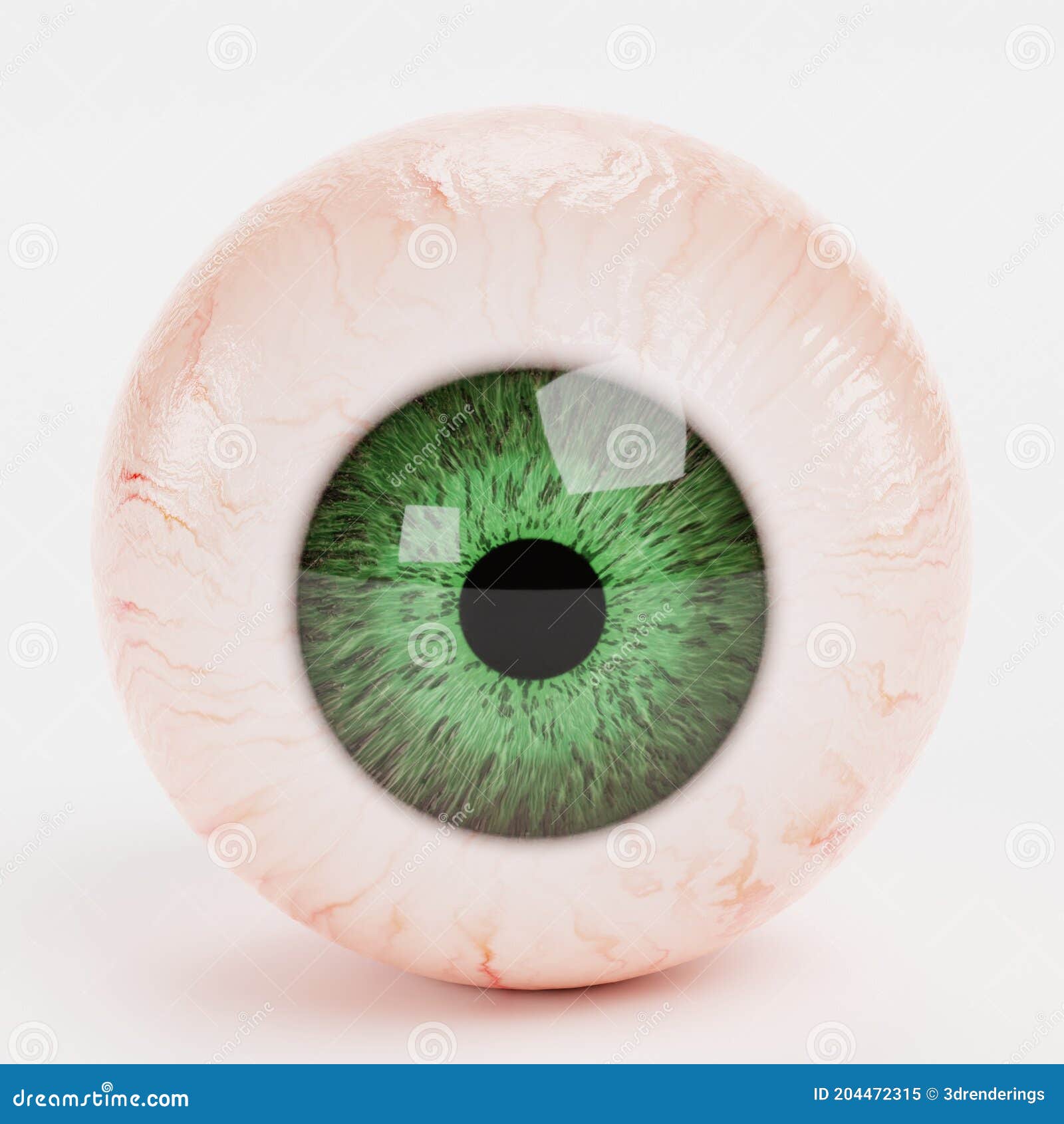 3D Render of Human Eye stock illustration. Illustration of head - 204472315