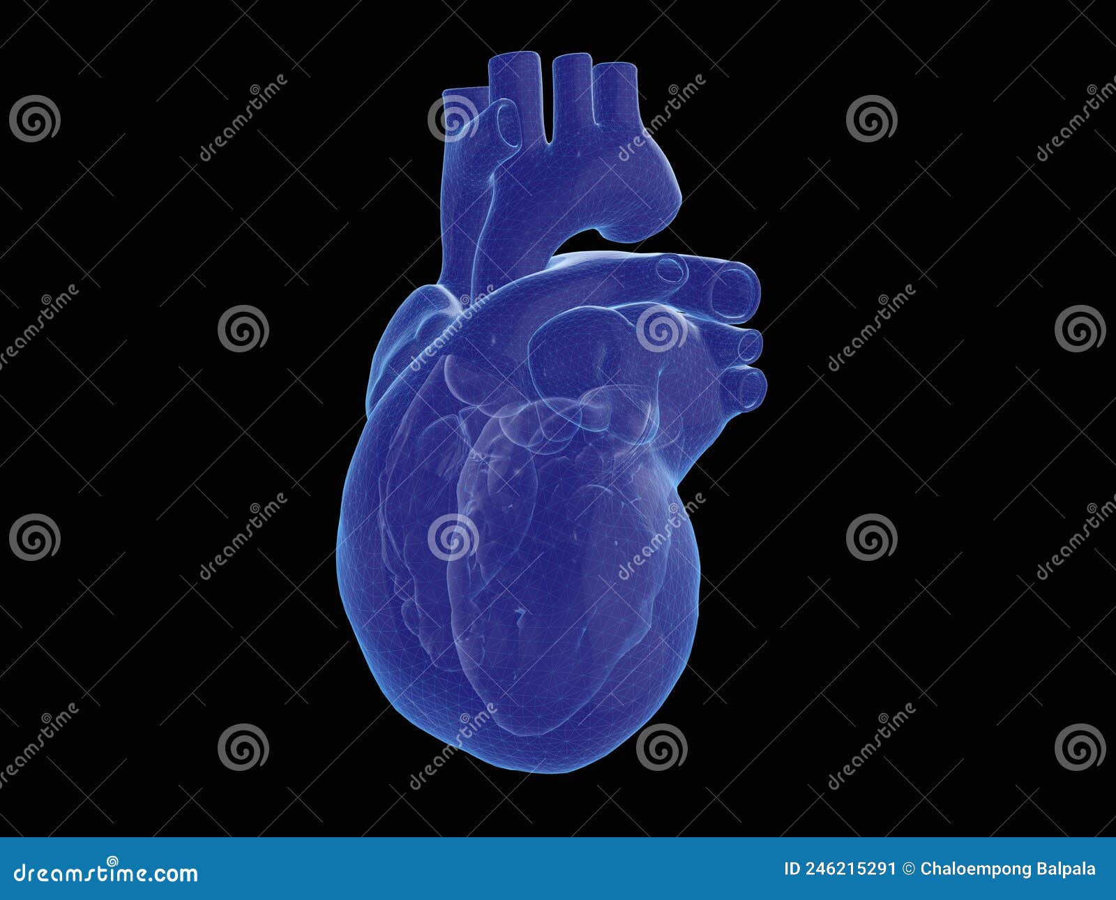 3D Render of the Human Heart. Stock Illustration - Illustration of ...