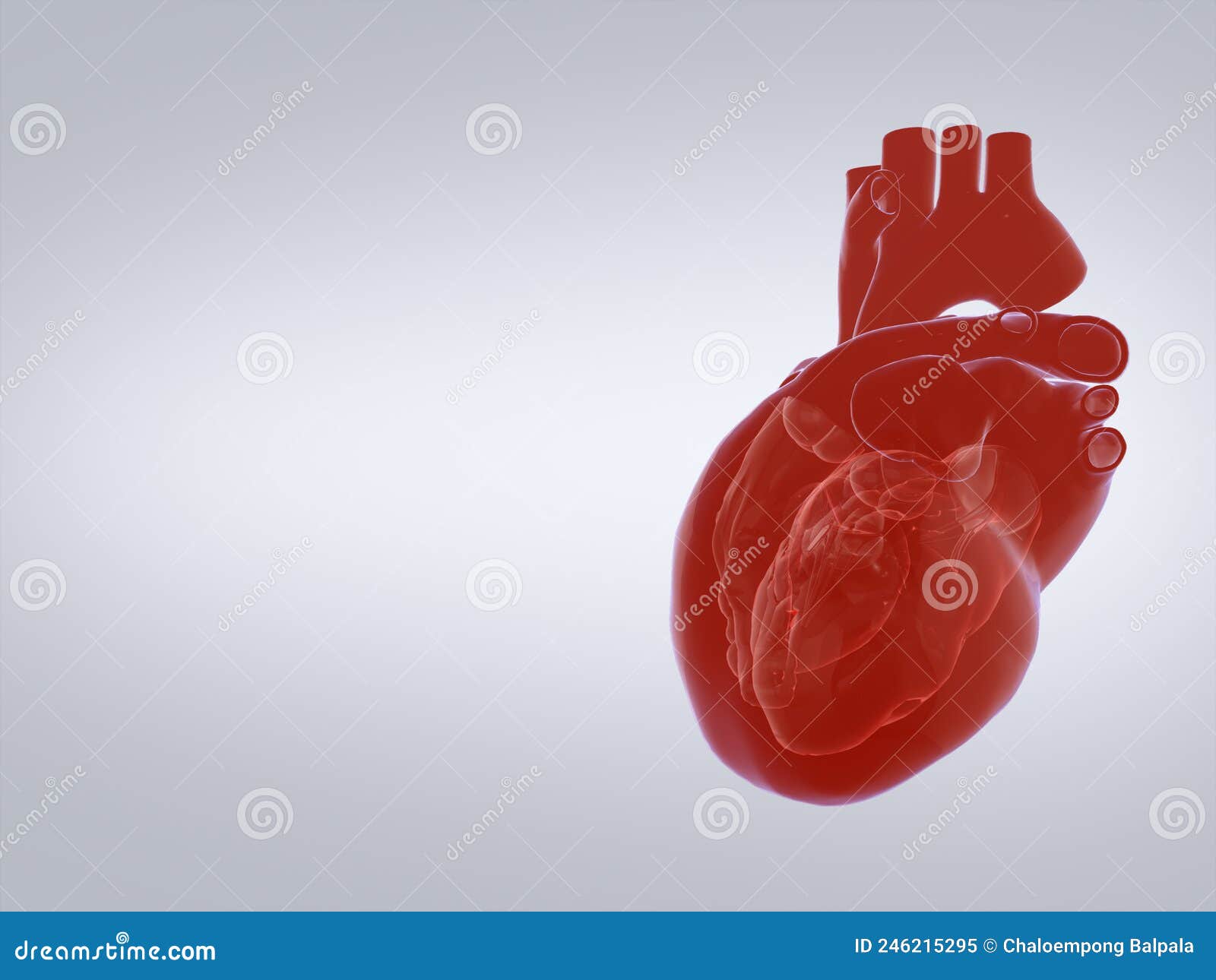 3D Render of the Human Heart. Stock Illustration - Illustration of text ...