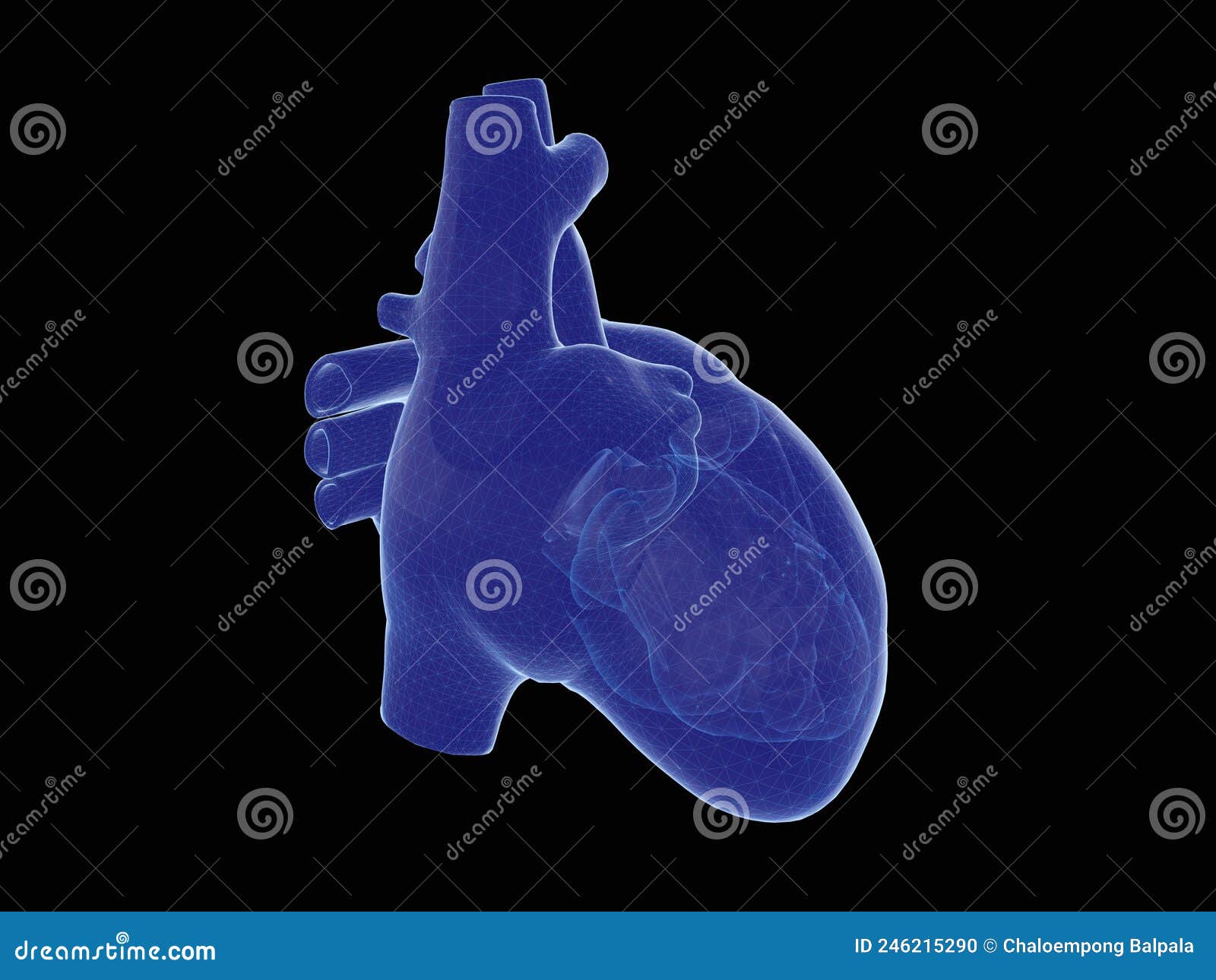 3D Render of the Human Heart. Stock Illustration - Illustration of ...