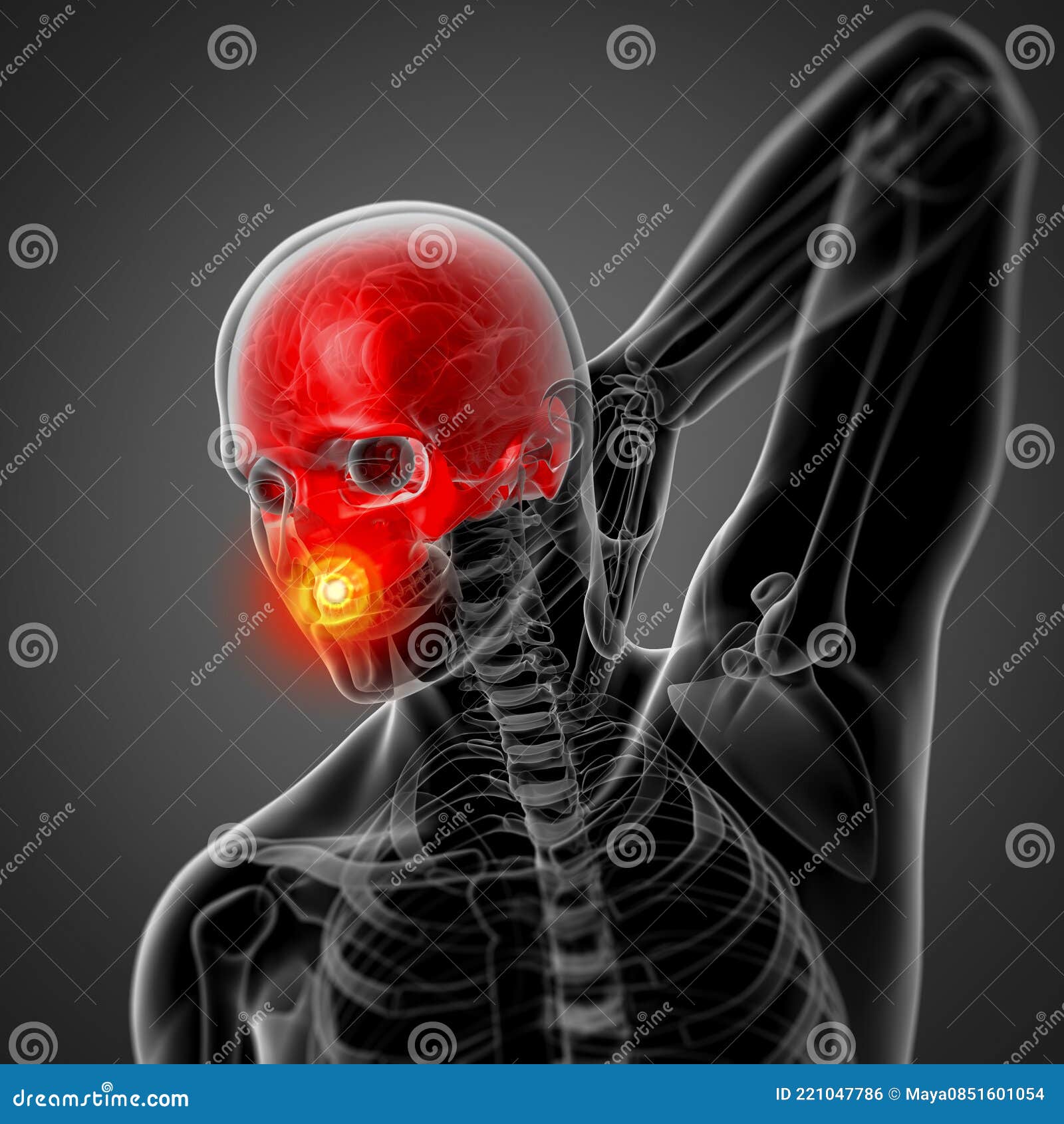 3D Rendering Illustration of Skull Bone Stock Illustration ...