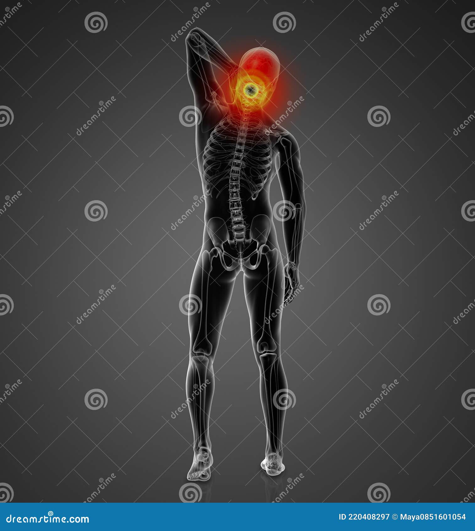 3d render of human Skull stock illustration. Illustration of biology ...