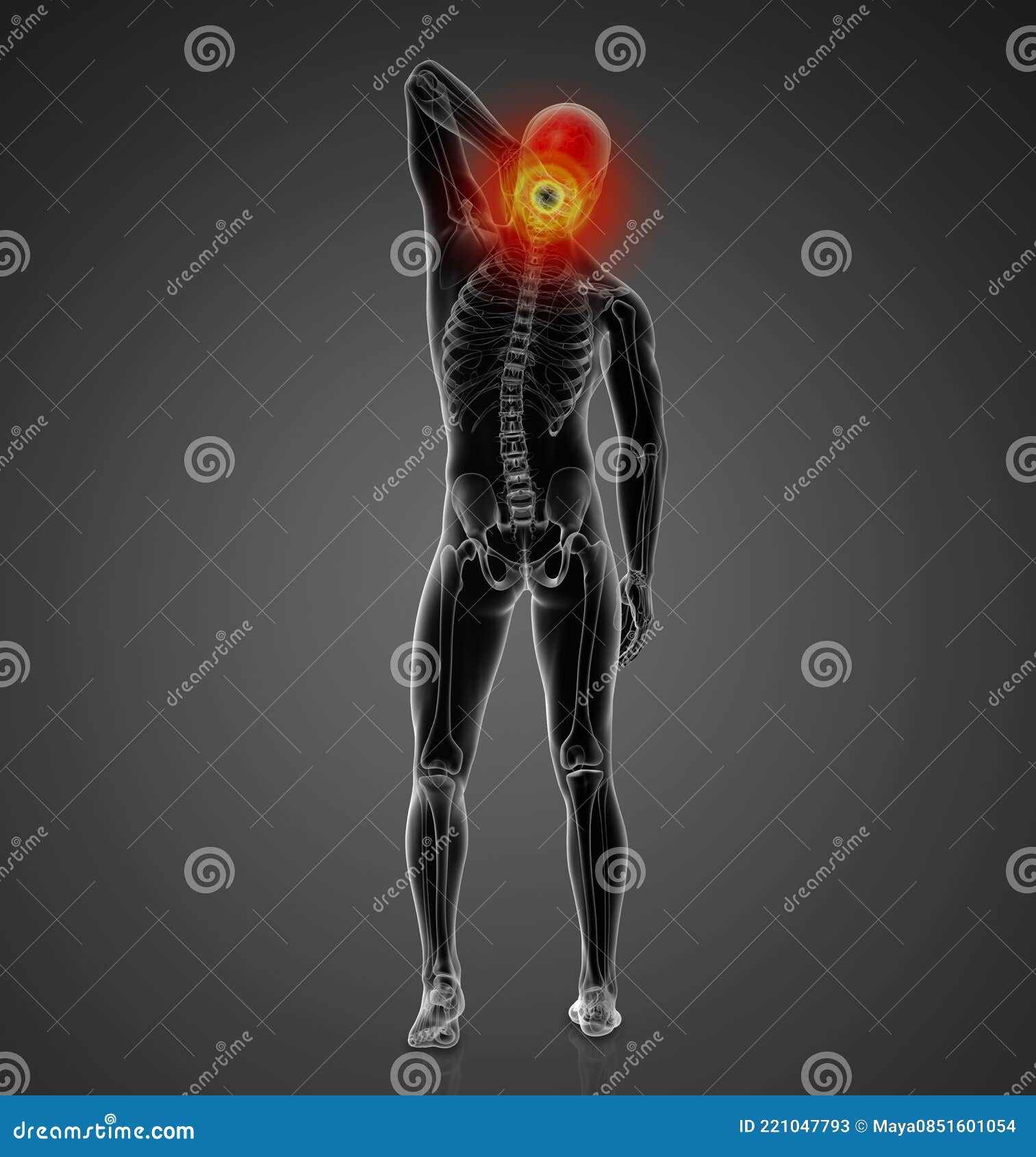 3D Rendering Illustration of Human Skull Stock Illustration ...