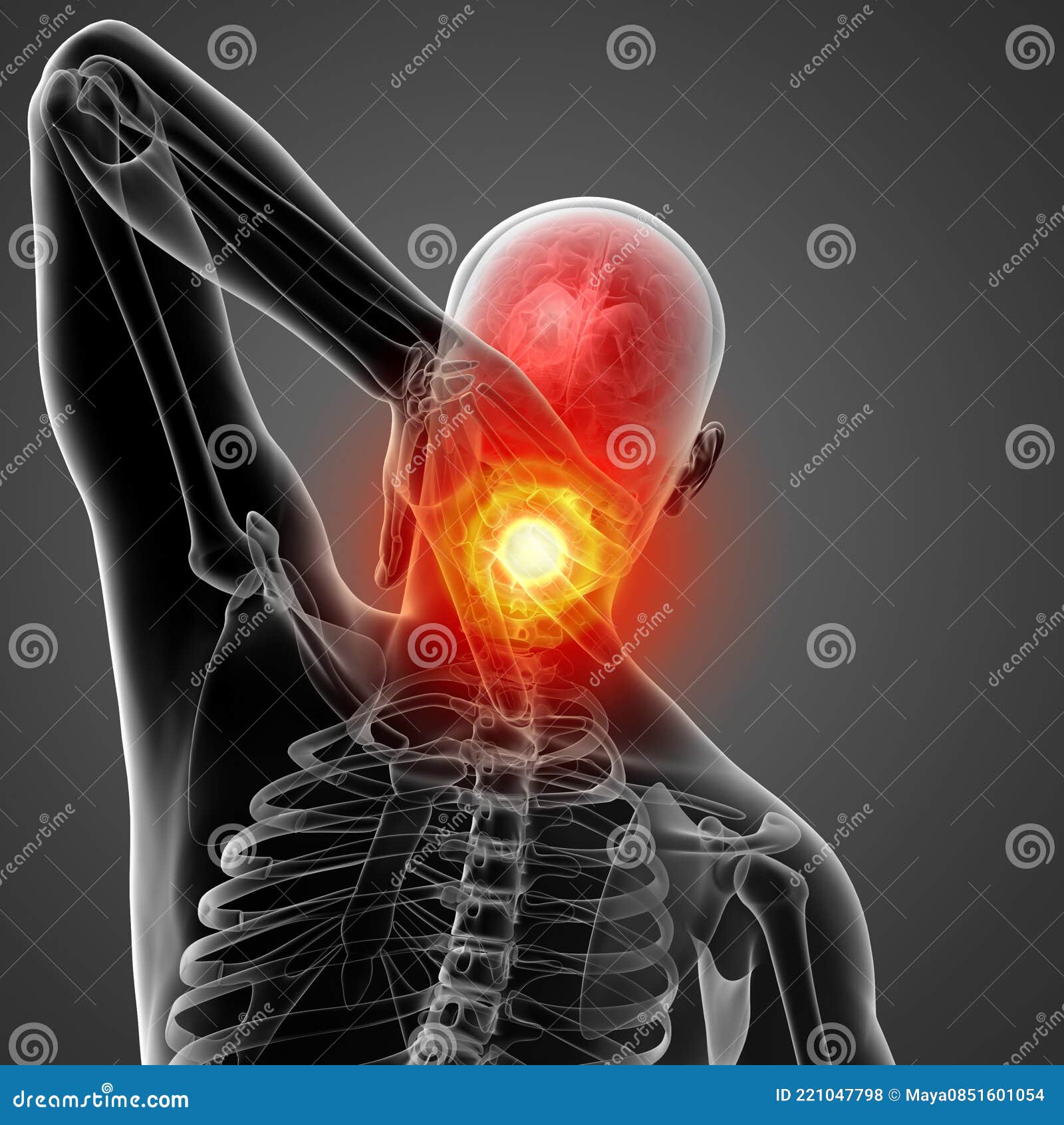 3D Rendering Illustration of Human Skull Stock Illustration ...