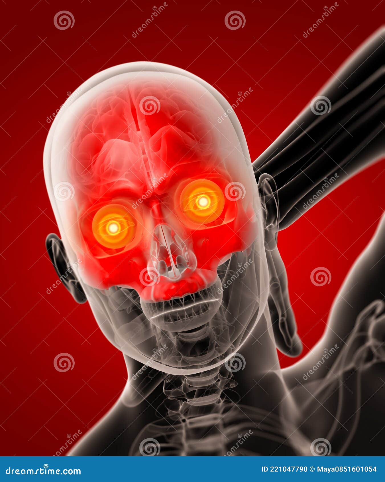 3D Rendering Illustration of Human Skull Stock Illustration ...