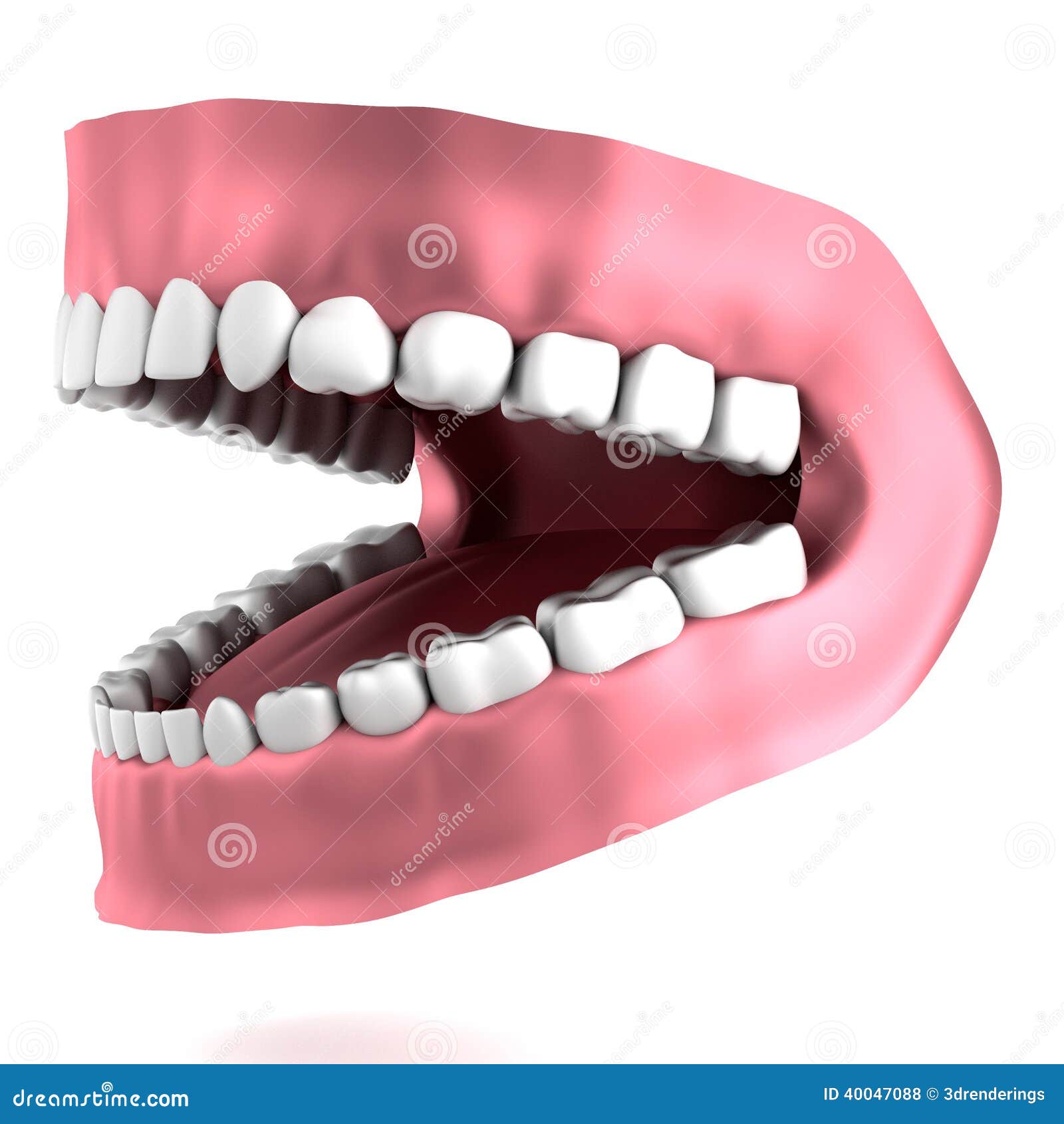 3d render of human teeth stock illustration. Illustration of healthcare ...