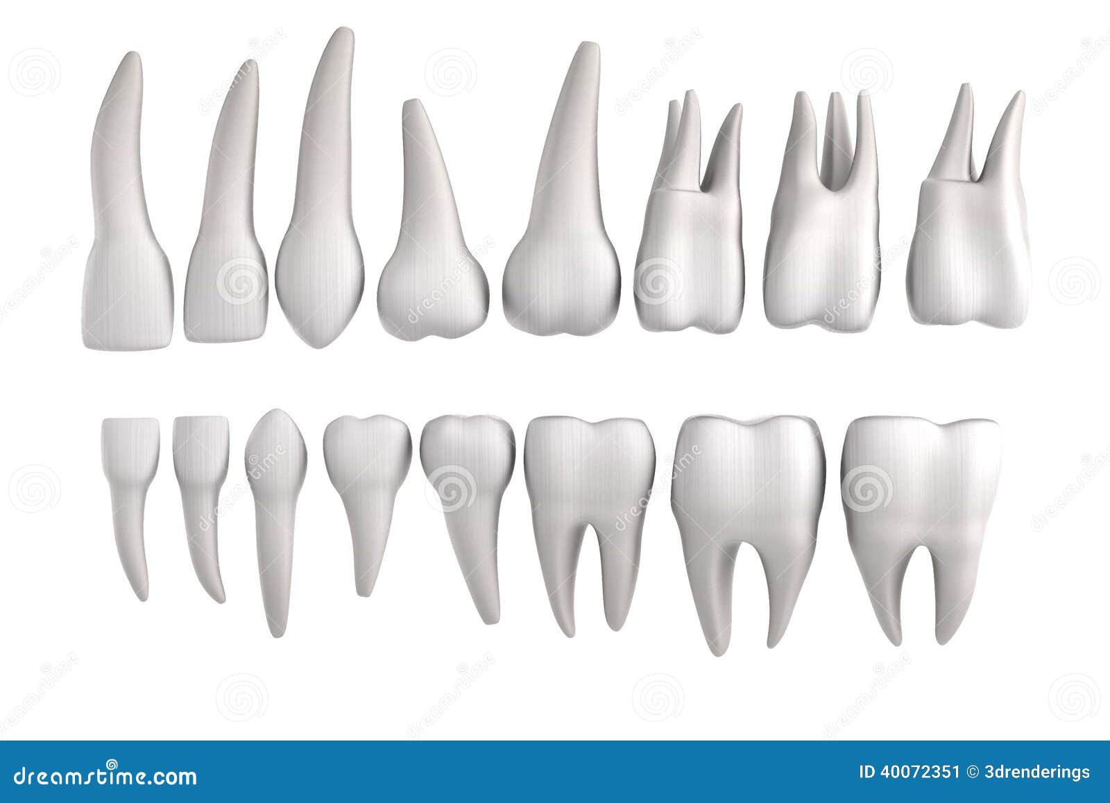 3d Render Of Teeth With Different Types Of Dental Amalgam Filling Stock ...