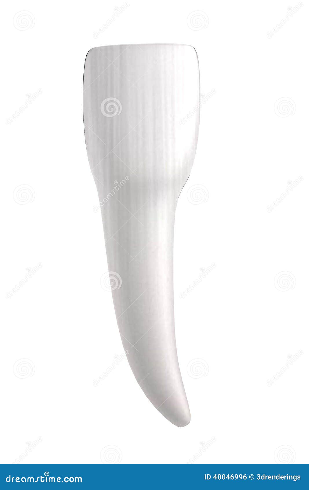 3d render of human tooth stock illustration. Illustration of graphics ...