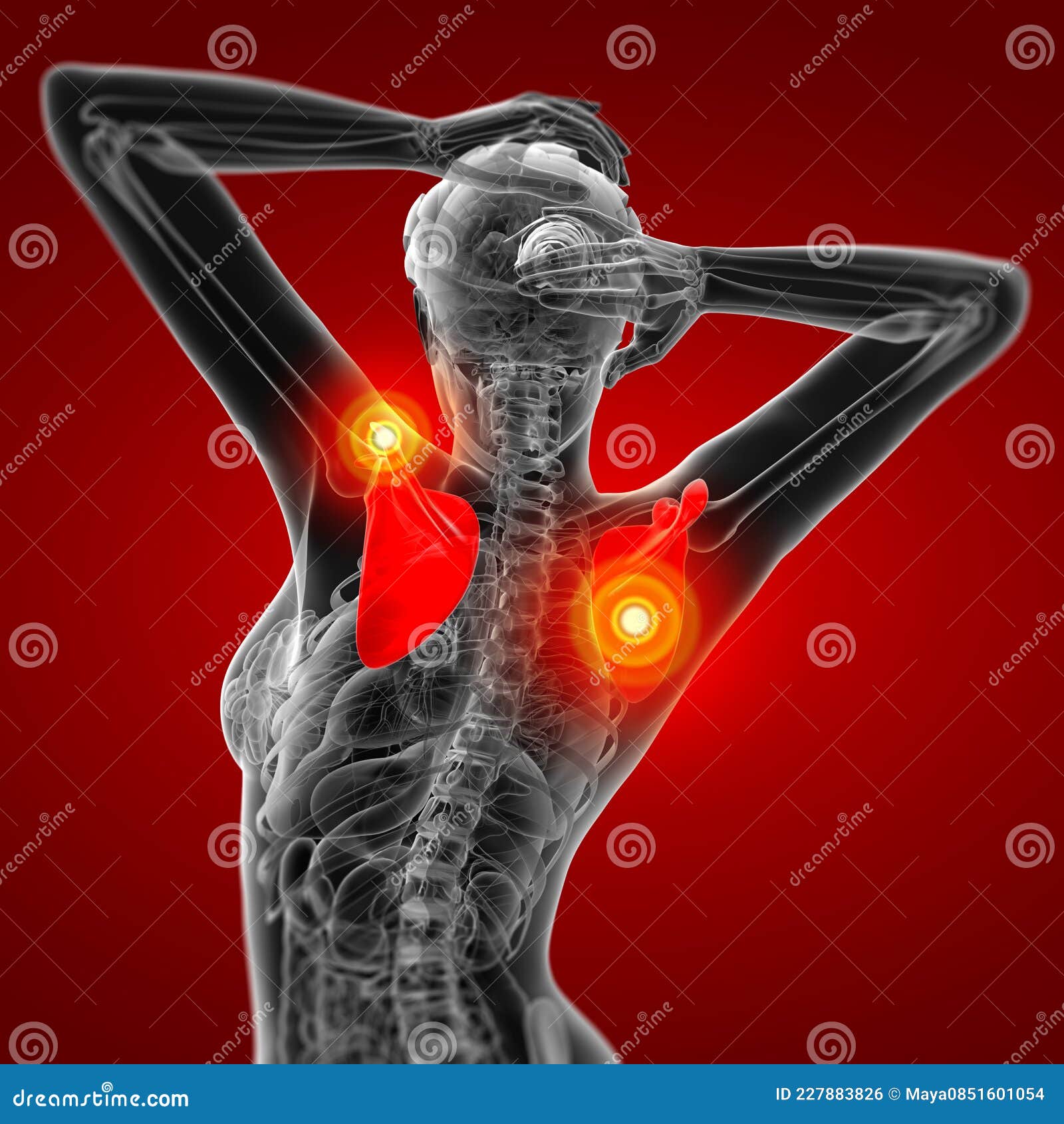 3D Rendering of Scapula Bone Stock Illustration - Illustration of neck ...