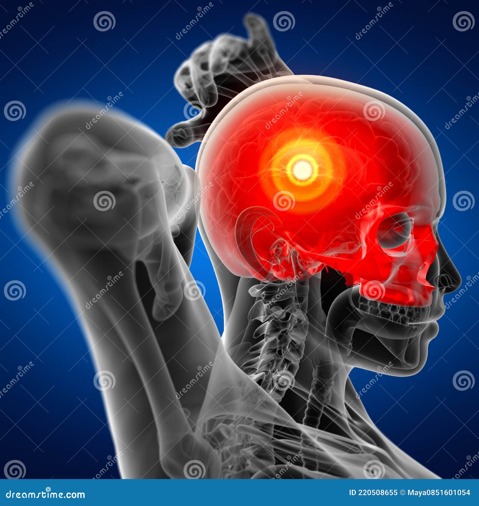 3d Render Illustration of the Female Skull Bone Stock Illustration ...