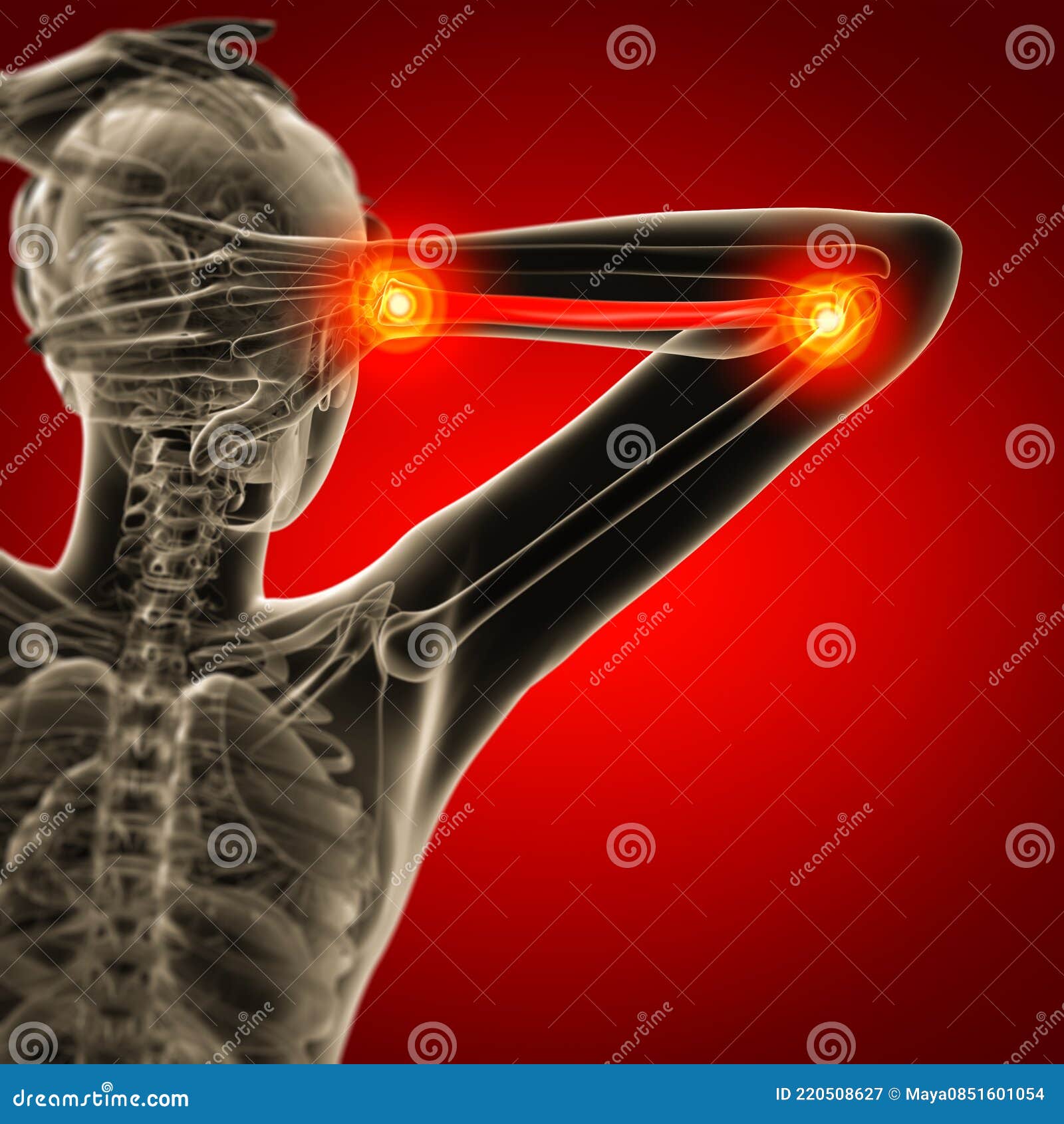 3d Render Illustration of the Female Ulna Bone Stock Illustration ...