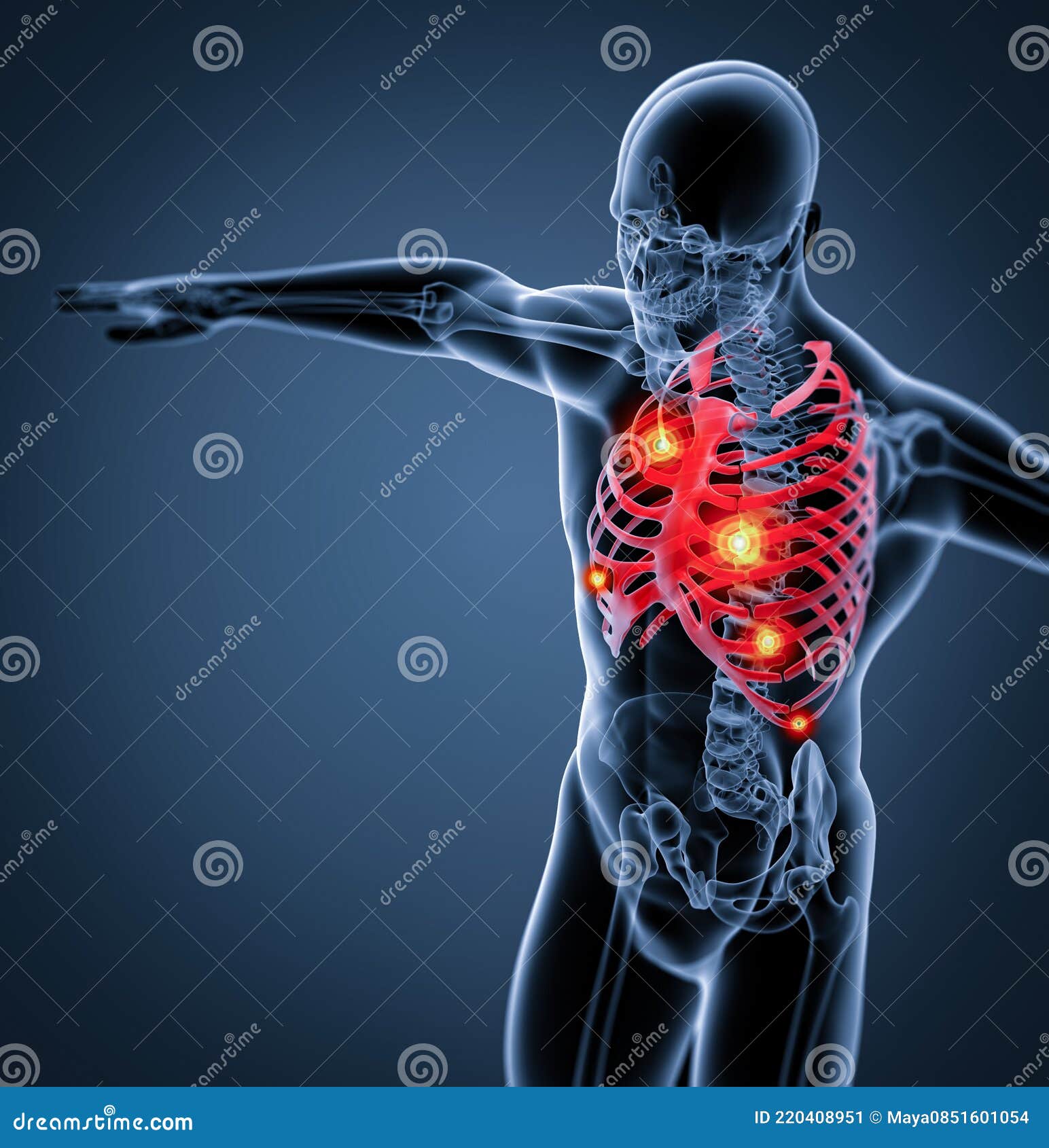 3d Render Illustration of the Male Rib Cage Stock Illustration ...
