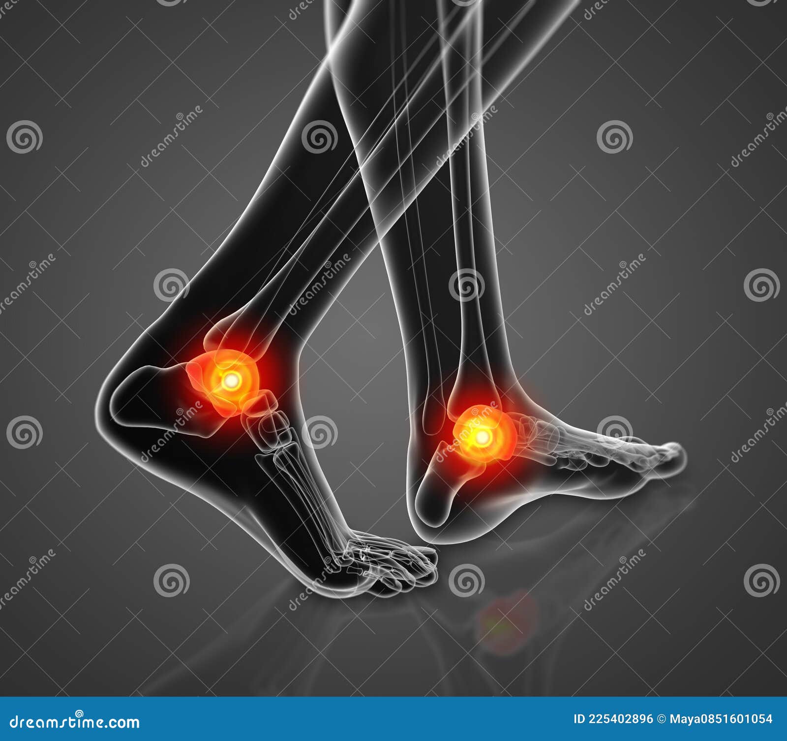 3d Render Illustration of the Talus Bone Stock Illustration ...