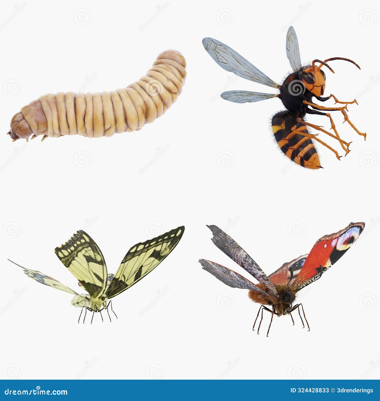 3D Render of Insect Set stock illustration. Illustration of wasp ...